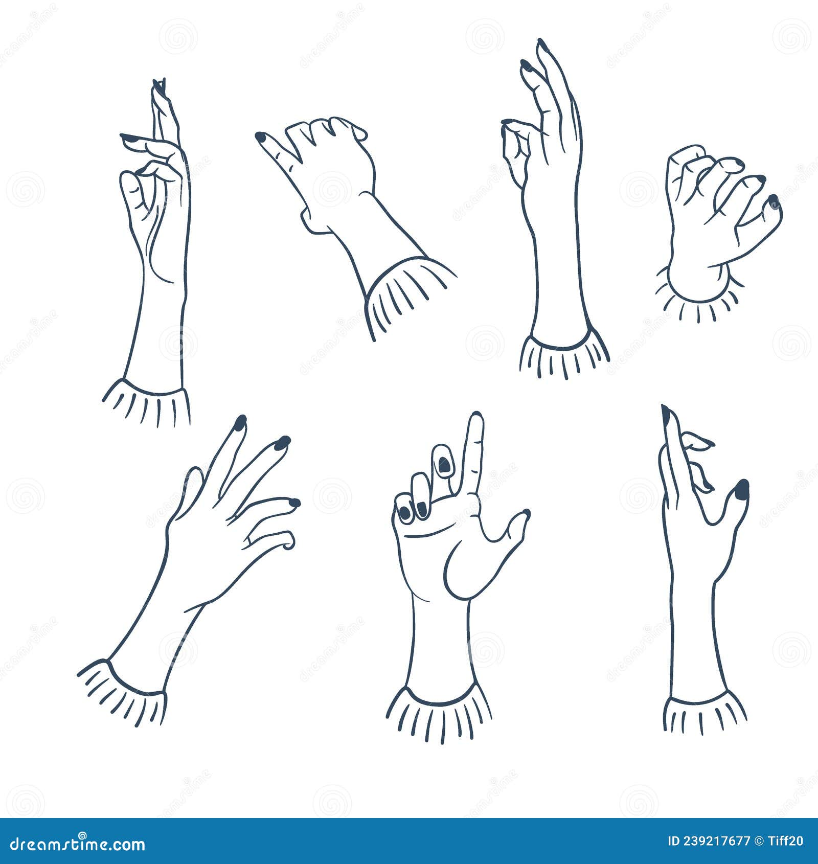 A Set of Sketches of Hands in Different Positions Stock Vector ...