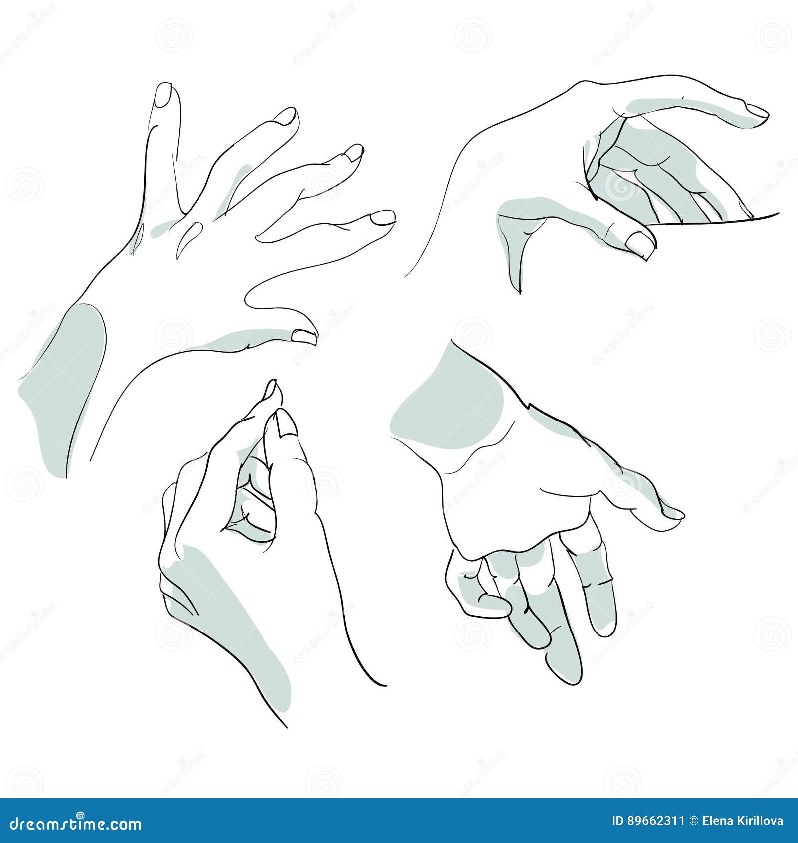 Set of Sketches of Hands in Different Positions. Vector Illustration ...