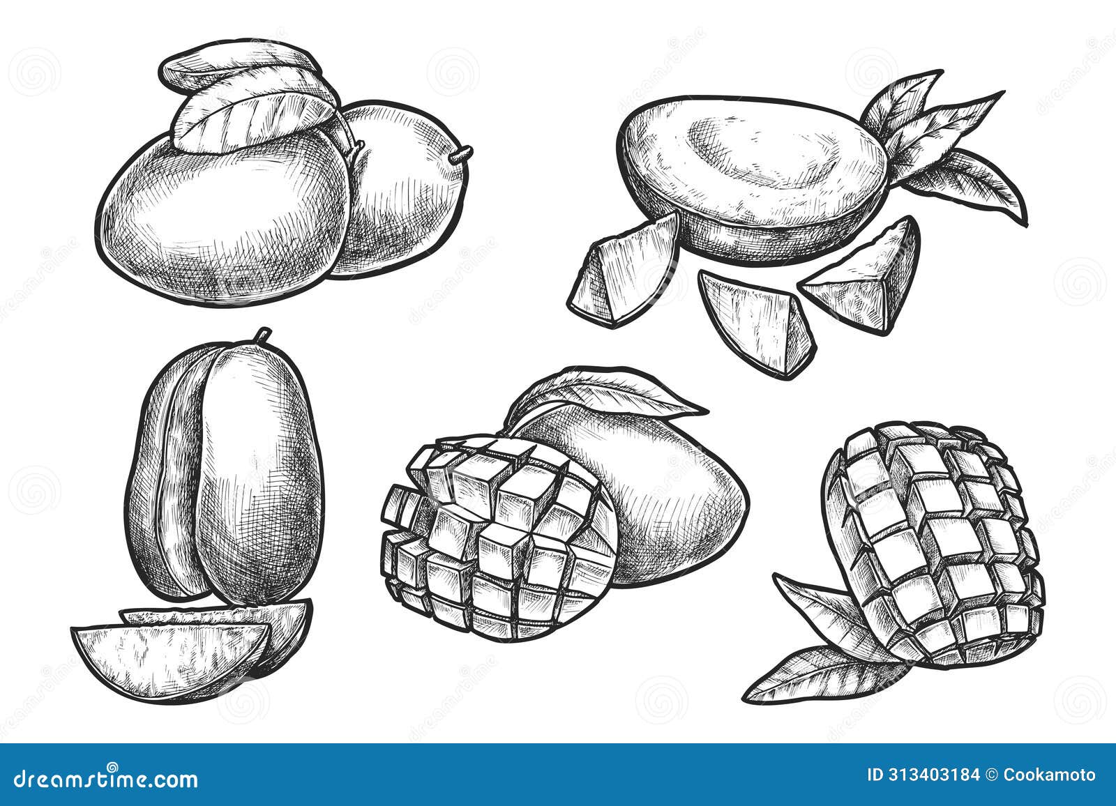 Set of Sliced and Chopped Mango. Vector Sketch Stock Vector ...
