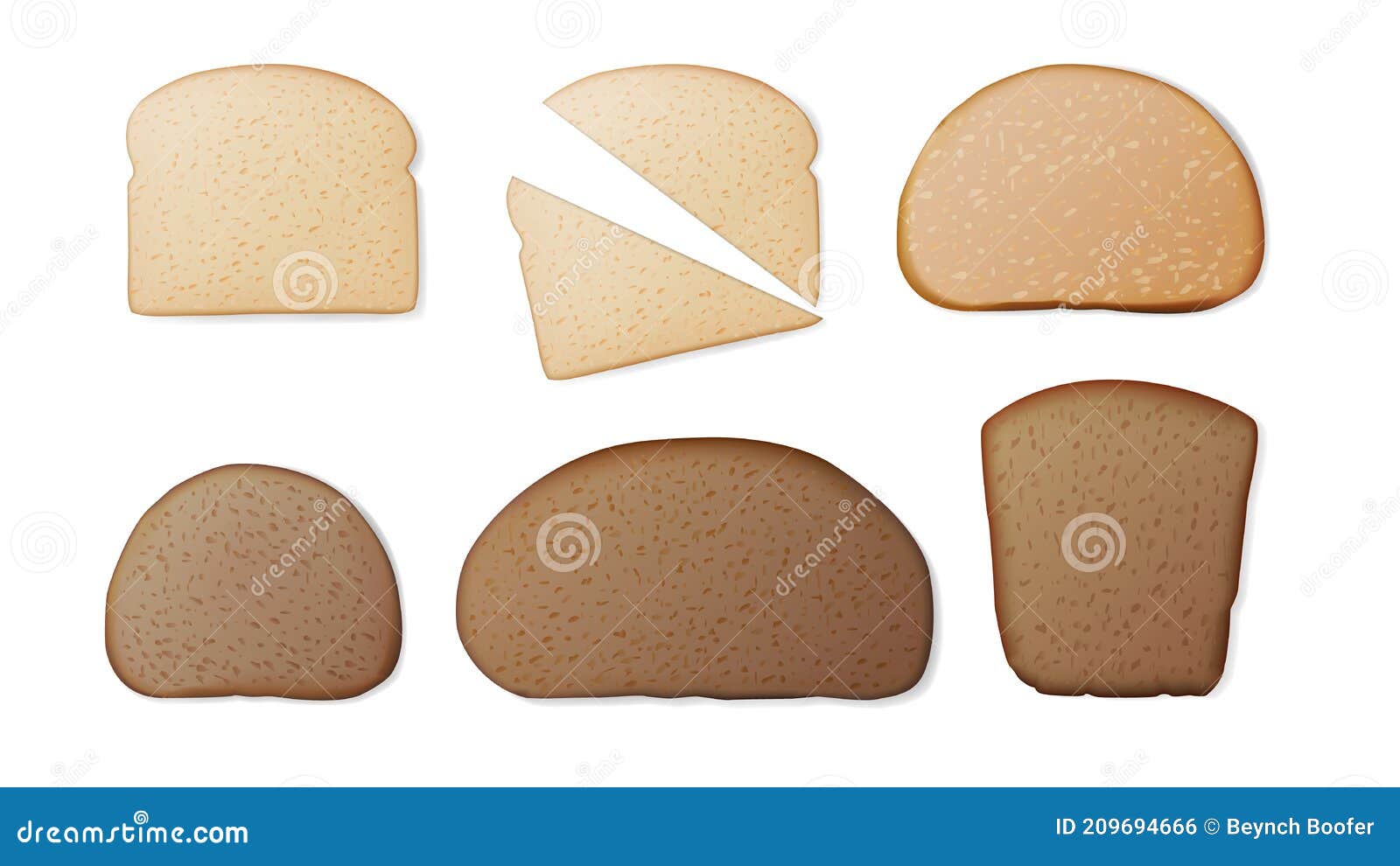 A Set of Slices of Different Types of Bread. Realistic Isolated on ...