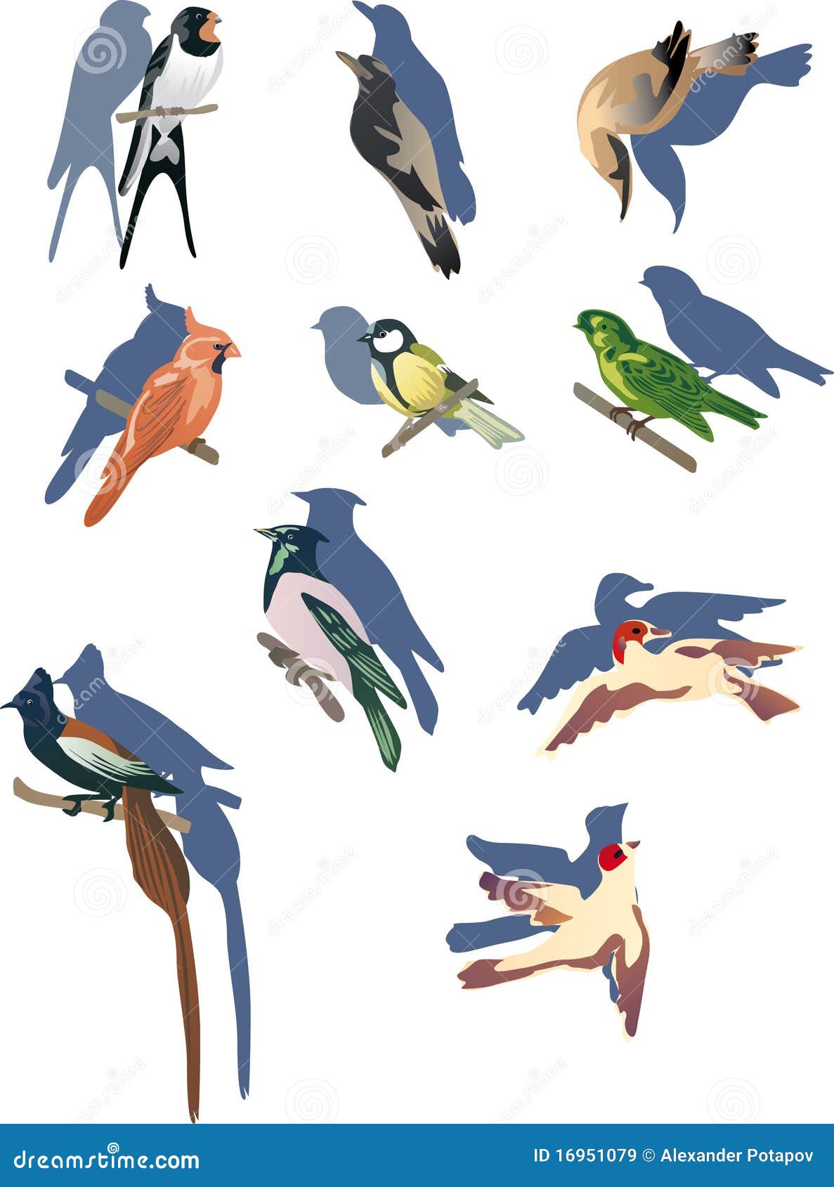 Set of small birds stock vector. Illustration of animal - 16951079