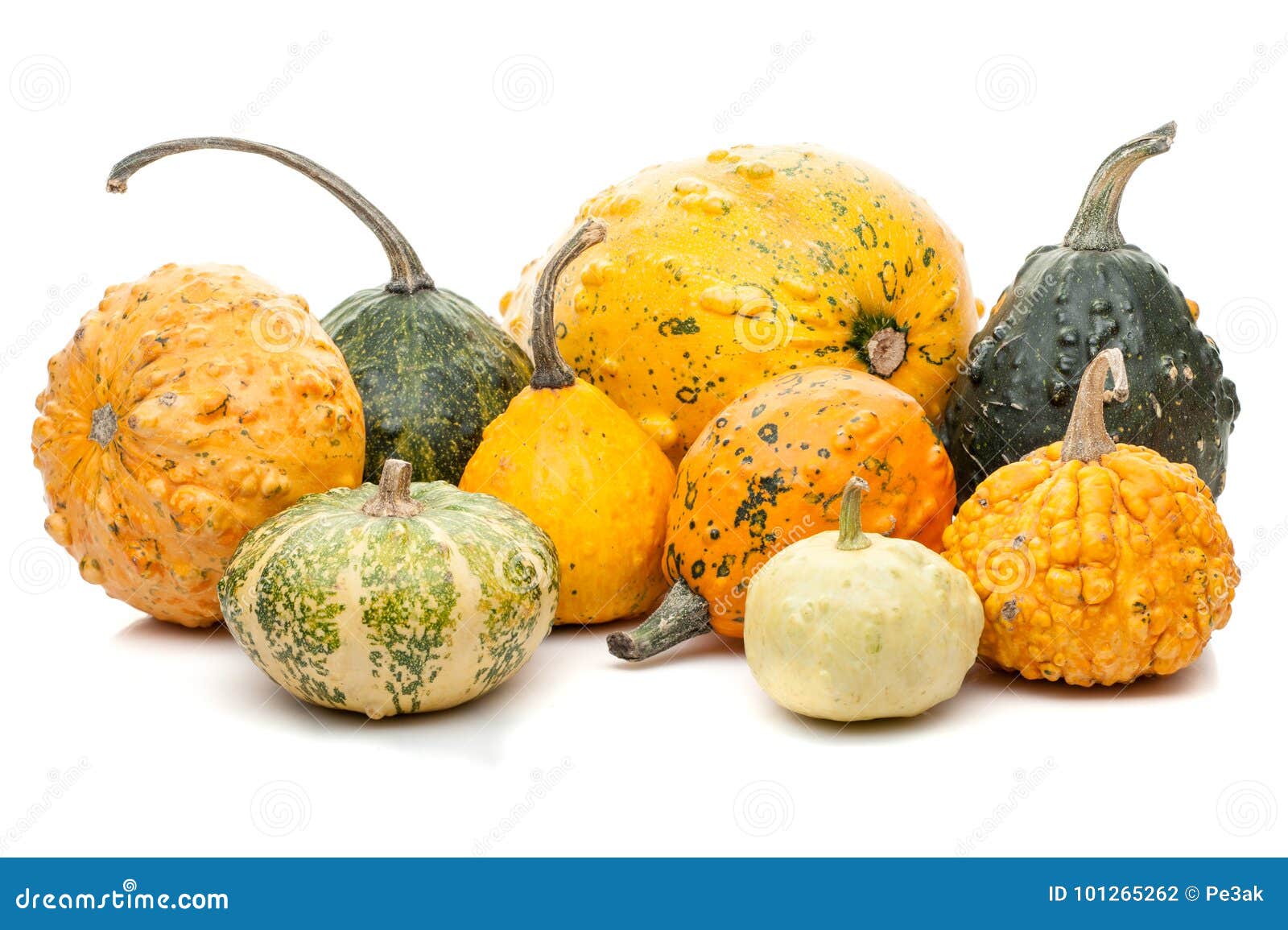 Set of Small Pumpkins Isolated on White Background Stock Photo - Image ...