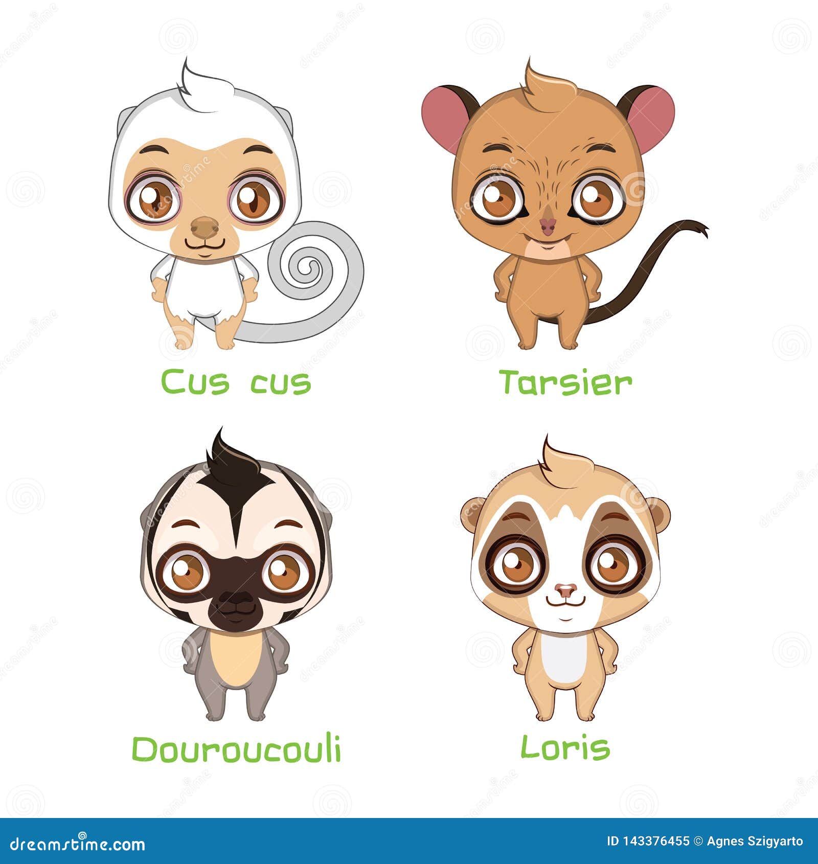 Set of Smaller Sized Primates Stock Vector - Illustration of fauna ...