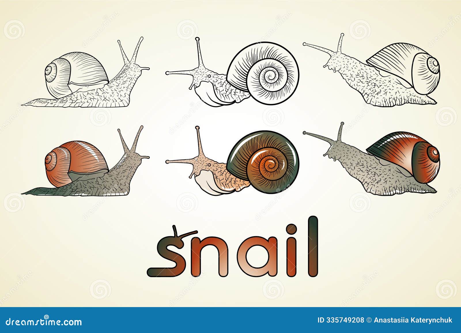 Set of Snail. Vector Graphics. Snail Hand Drawn Stock Illustration ...