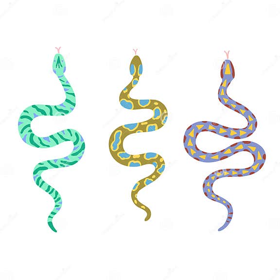 Set of Snakes with Various Patterns. Vector Design Elements Isolated on ...