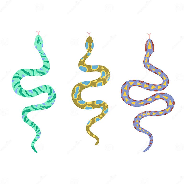 Set of Snakes with Various Patterns. Vector Design Elements Isolated on ...