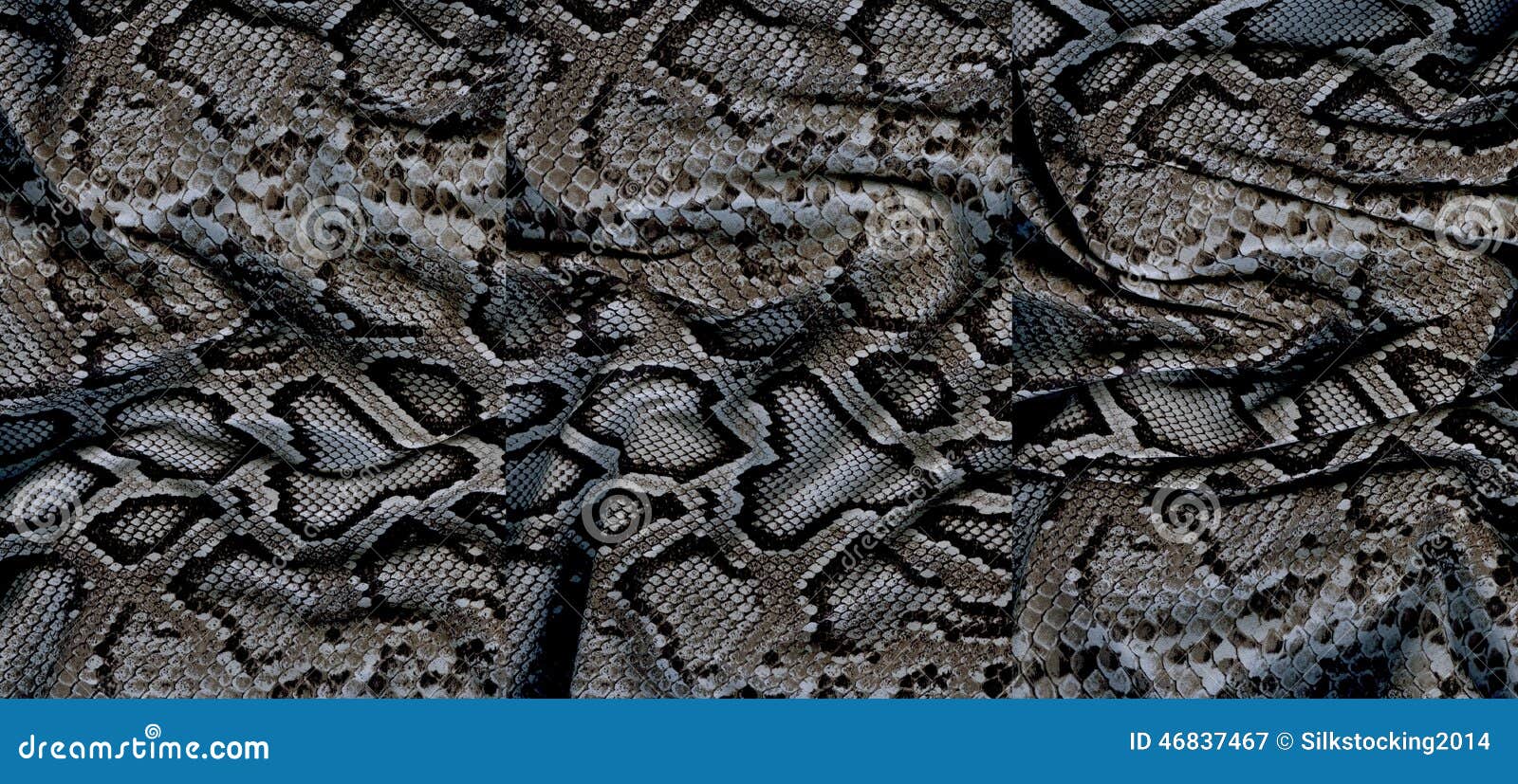 Set of snakeskin textures stock image. Image of full - 46837467