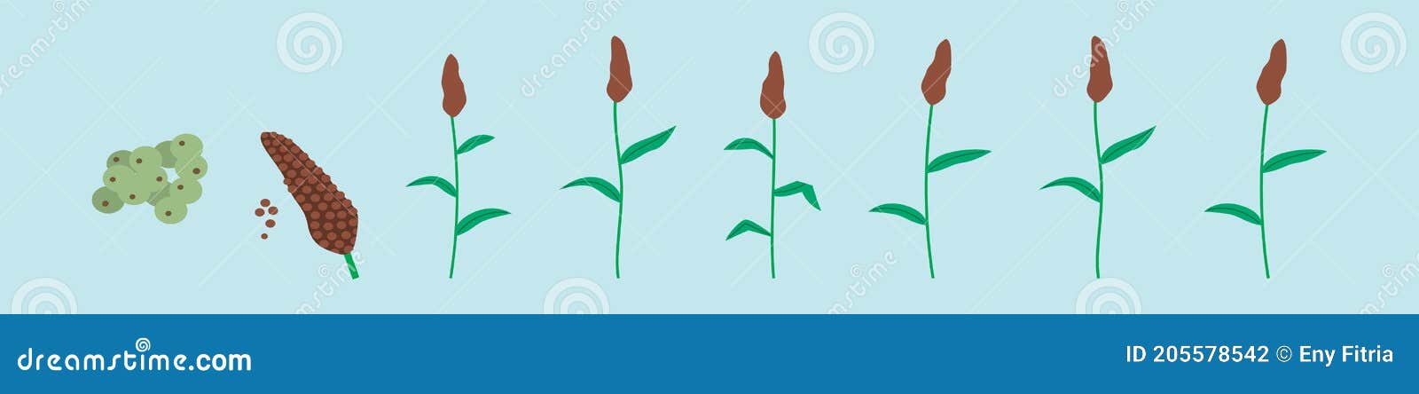 Set of Sorghum Cartoon Icon Design Template with Various Models. Vector ...