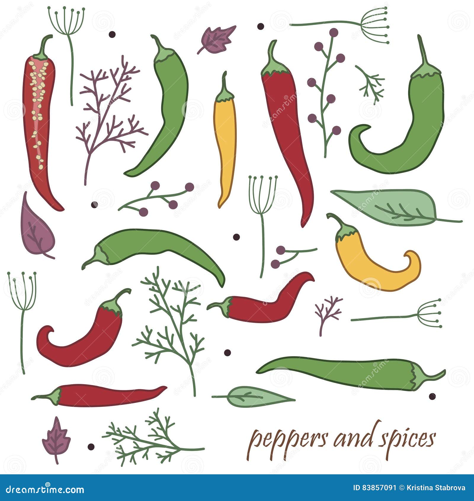 Set with Spices and Hot Chili Pepper on White Background. Vector Stock ...