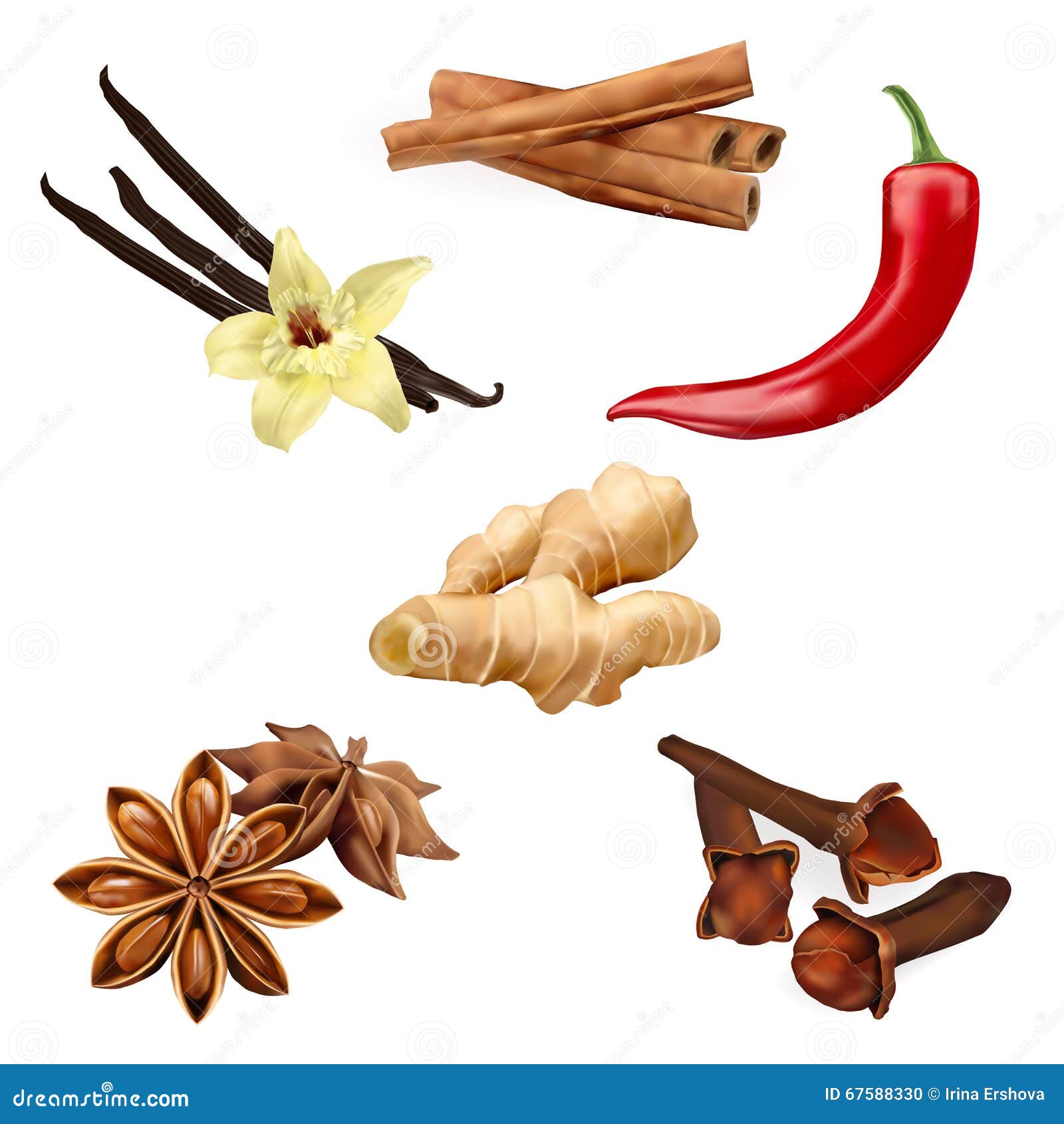 Set of spices isolated stock vector. Illustration of ingredients - 67588330