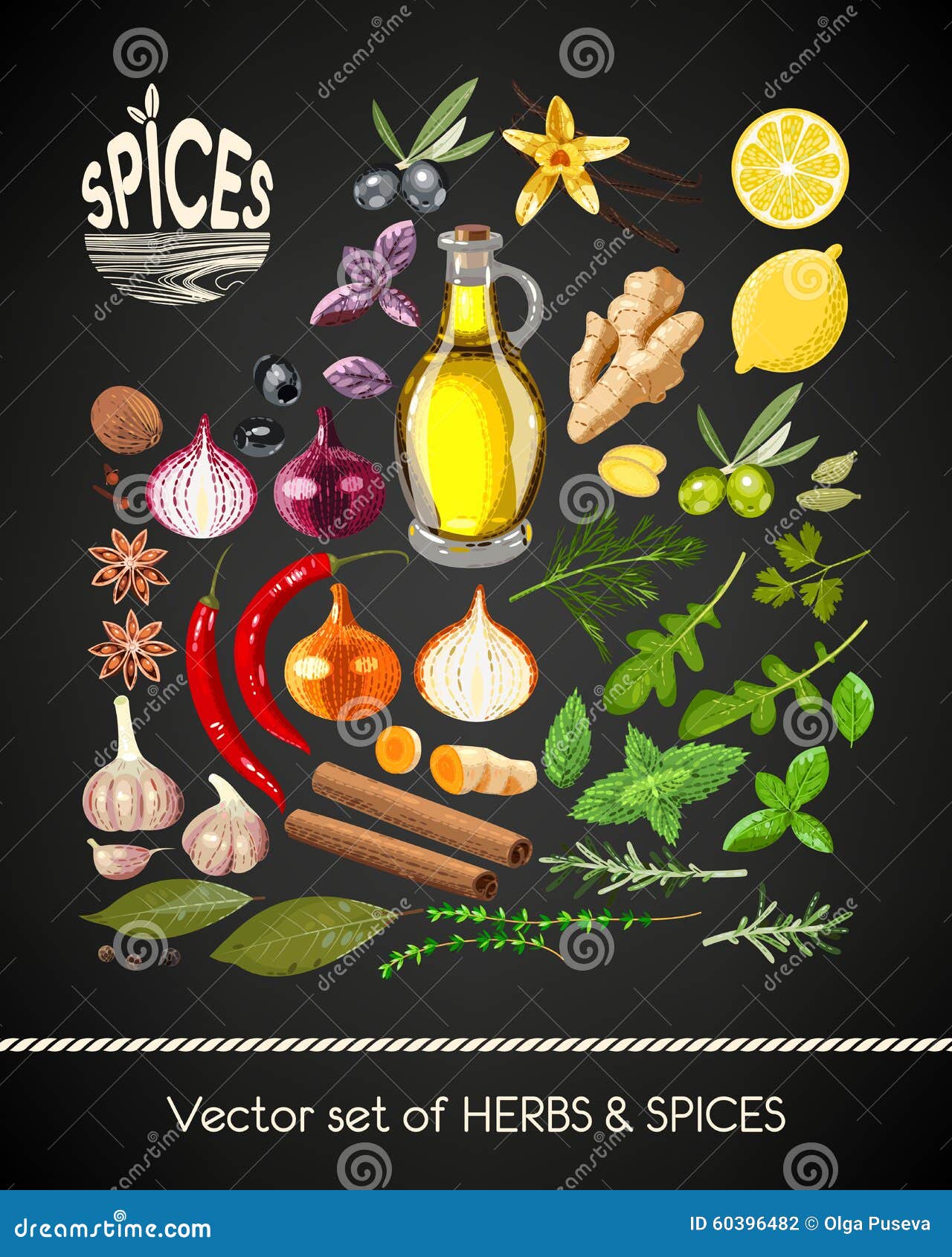 Set of spices stock vector. Illustration of herb, food - 60396482