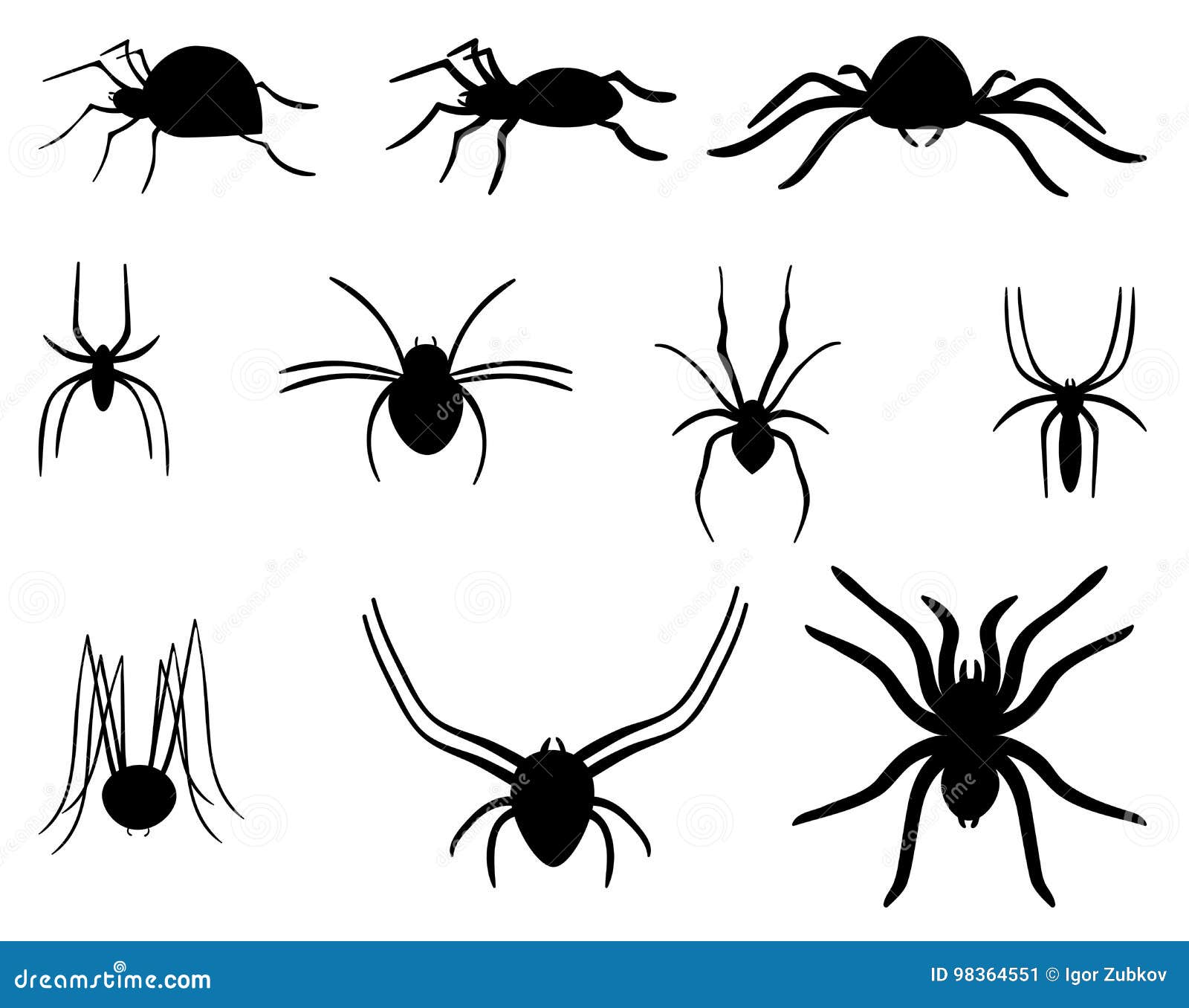 A Set of Spiders. Collection of Black and White Spiders. Vector Set of ...