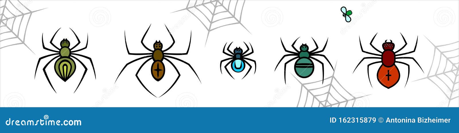 Set of Spiders in Different Sizes and Colors. for Decoration, Halloween ...