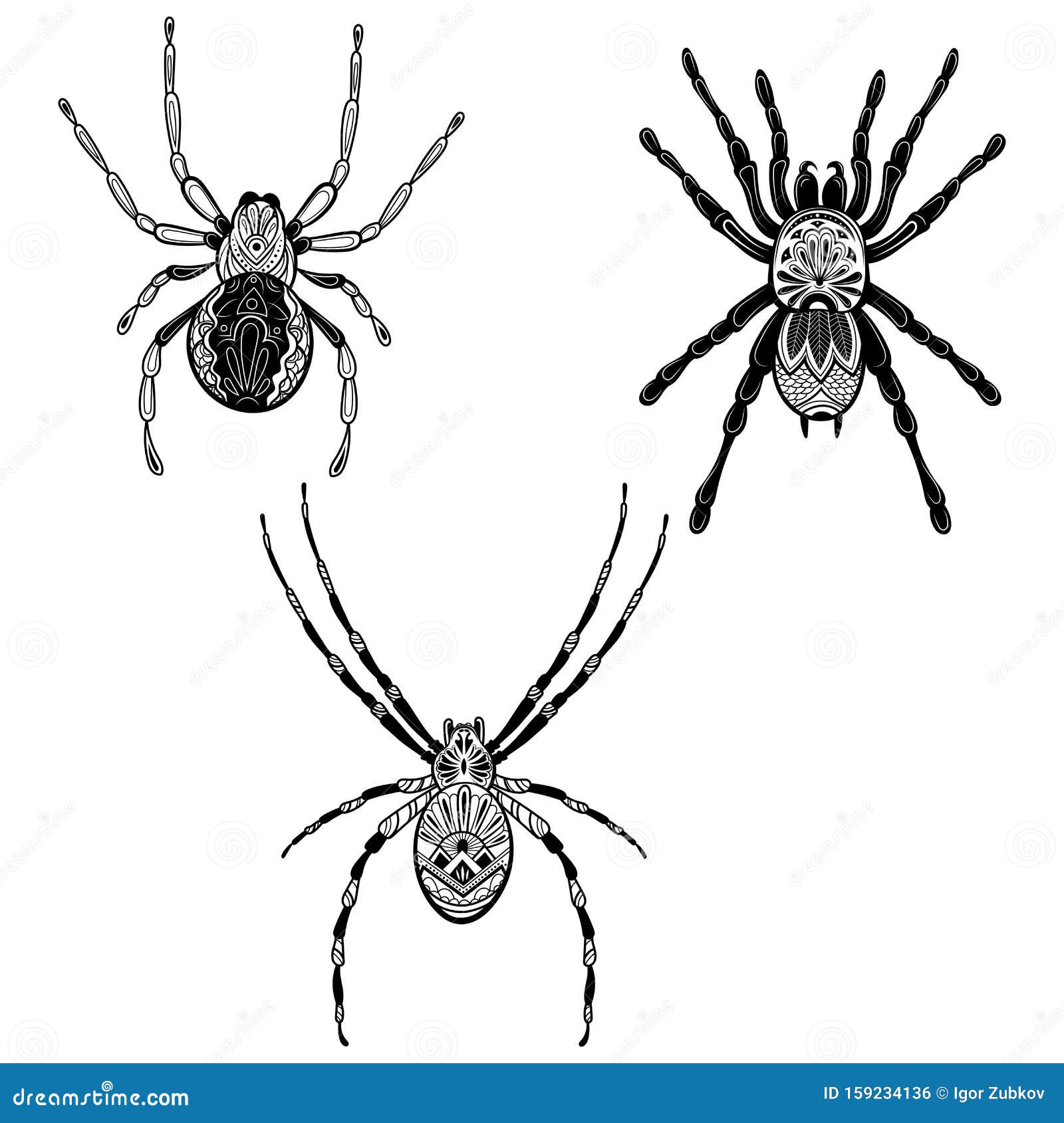 Set of Spiders with in Zentangle Style . Collection of Stylized Insects ...