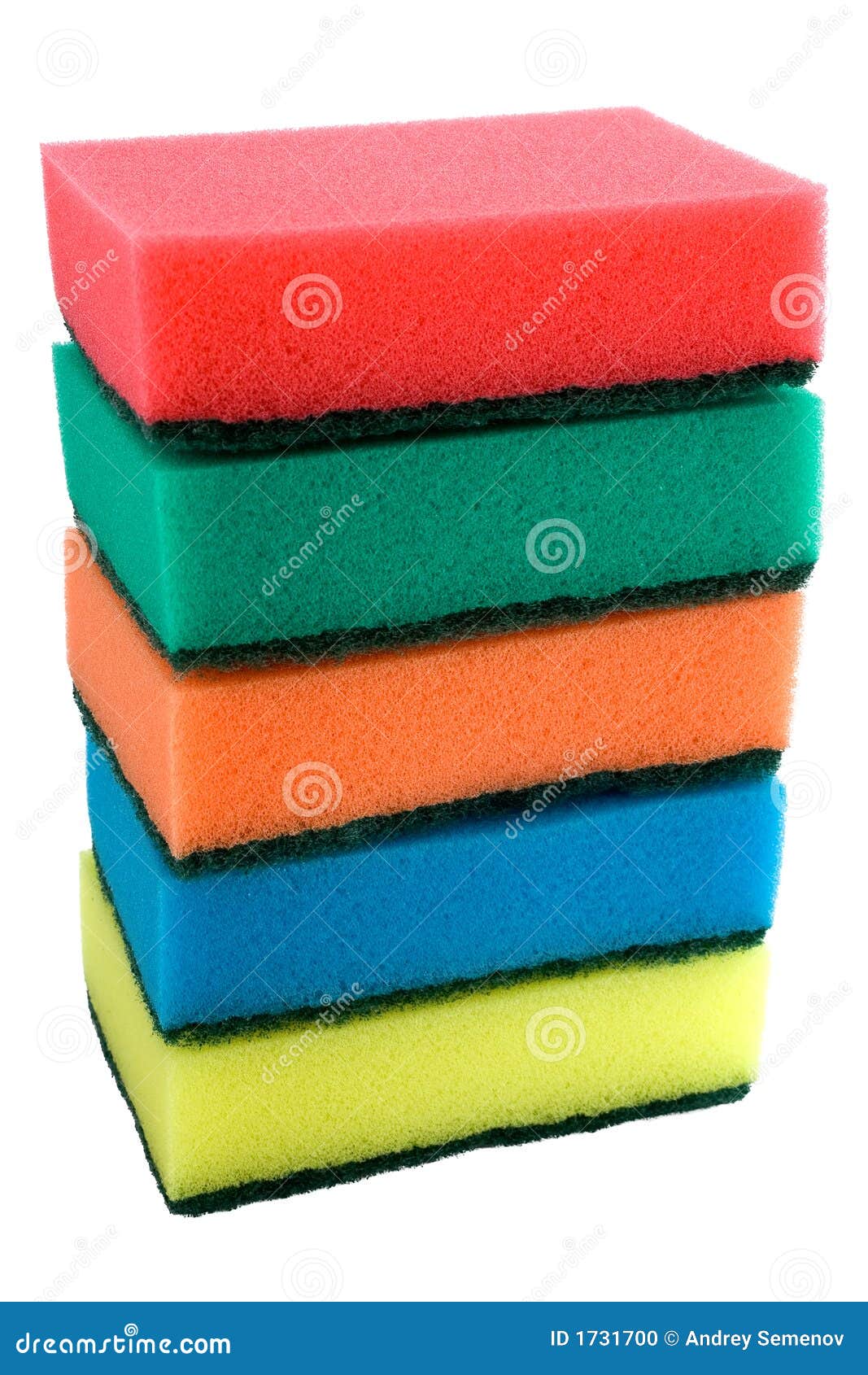 The set of sponges stock photo. Image of housekeeping - 1731700