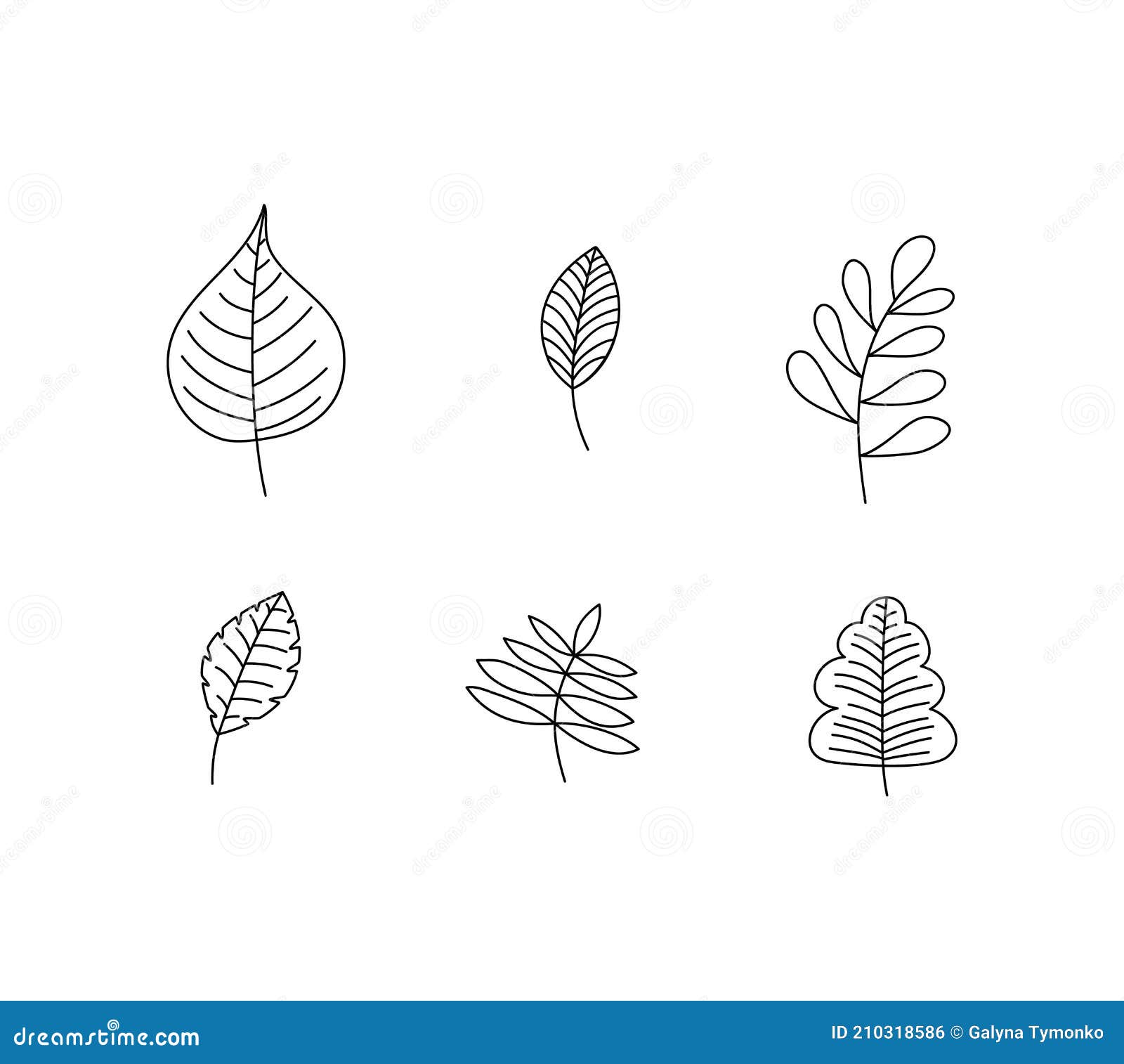 Set of Spring Leaf Outline Vector Line Icons. Doodle Spring Concept ...