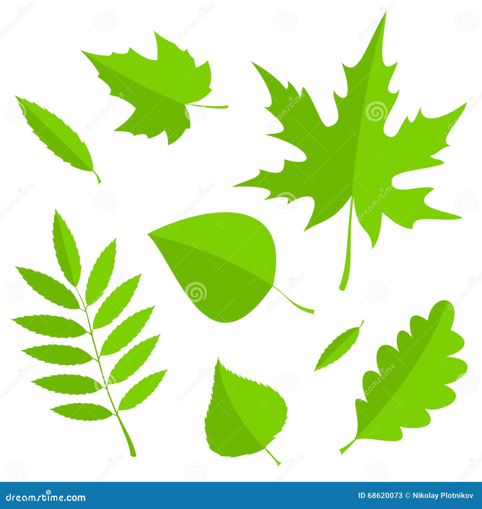 Set of Spring Leaves in Flat Style on White Background. Vector ...