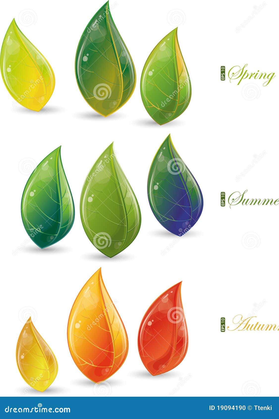 Set of Spring, Summer and Autumn Leaves Stock Vector - Illustration of ...