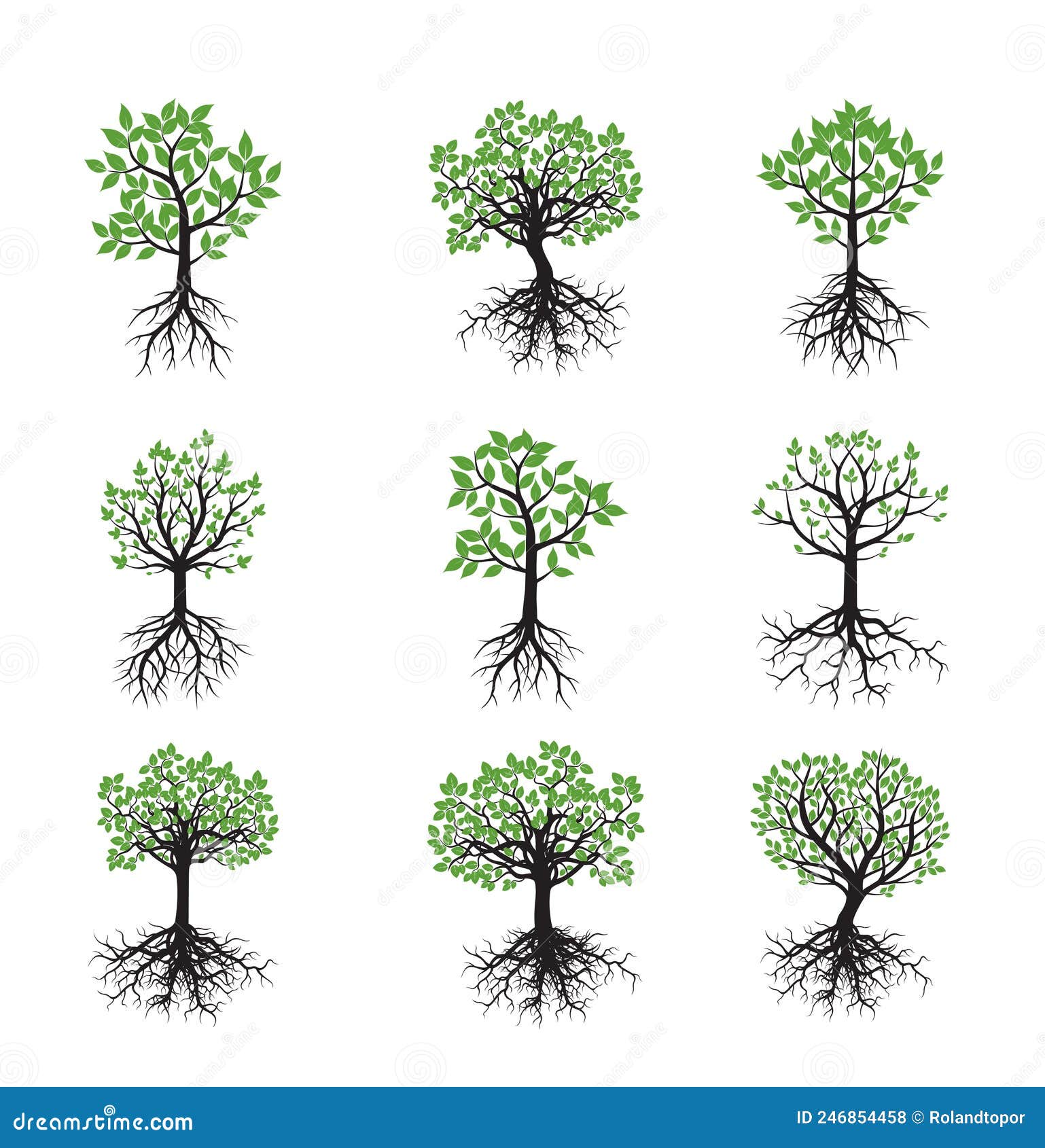 Set Spring Trees Outline Illustration. Stock Vector - Illustration of ...