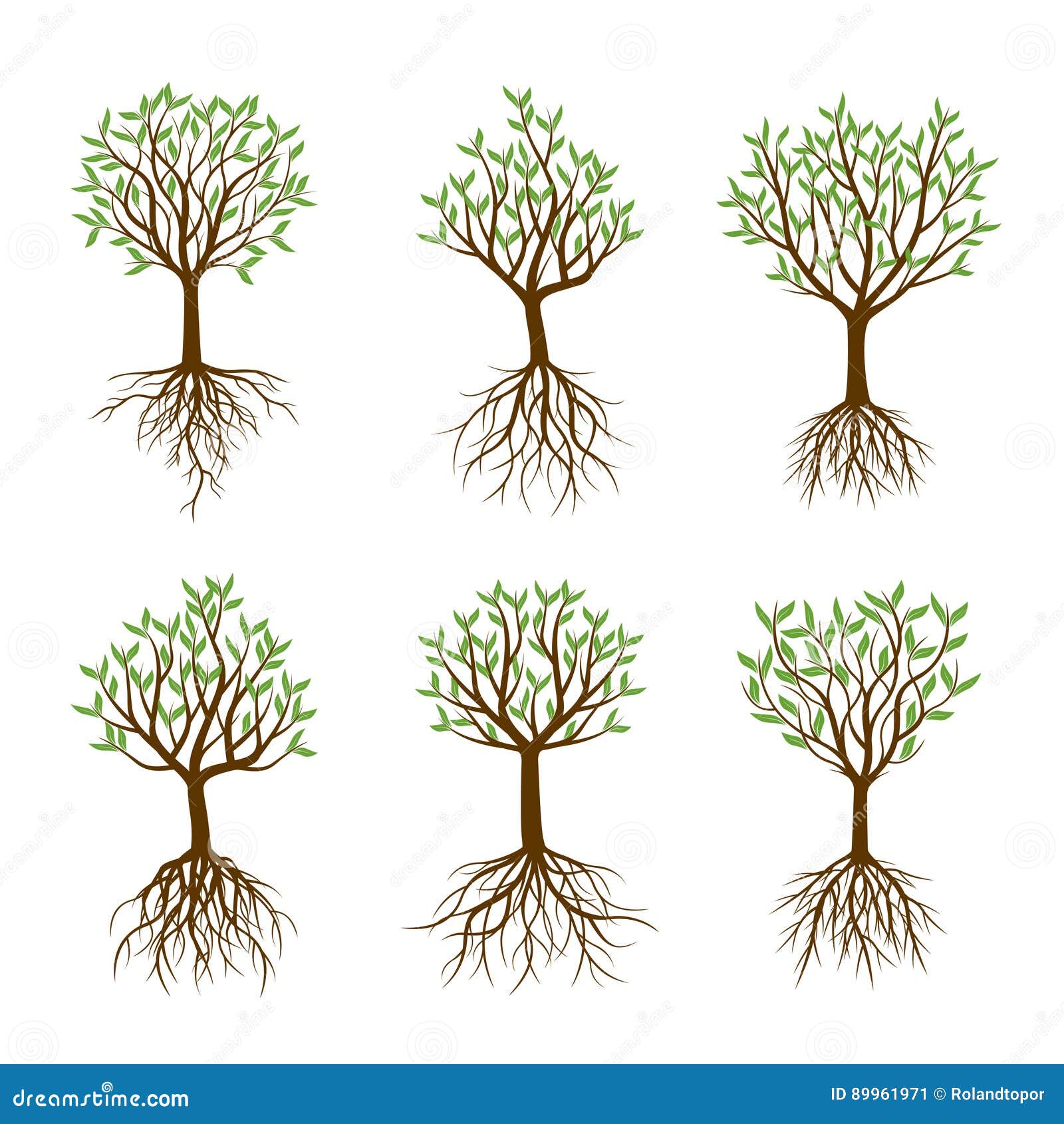 Set of Spring Trees with Roots. Stock Vector - Illustration of sample ...