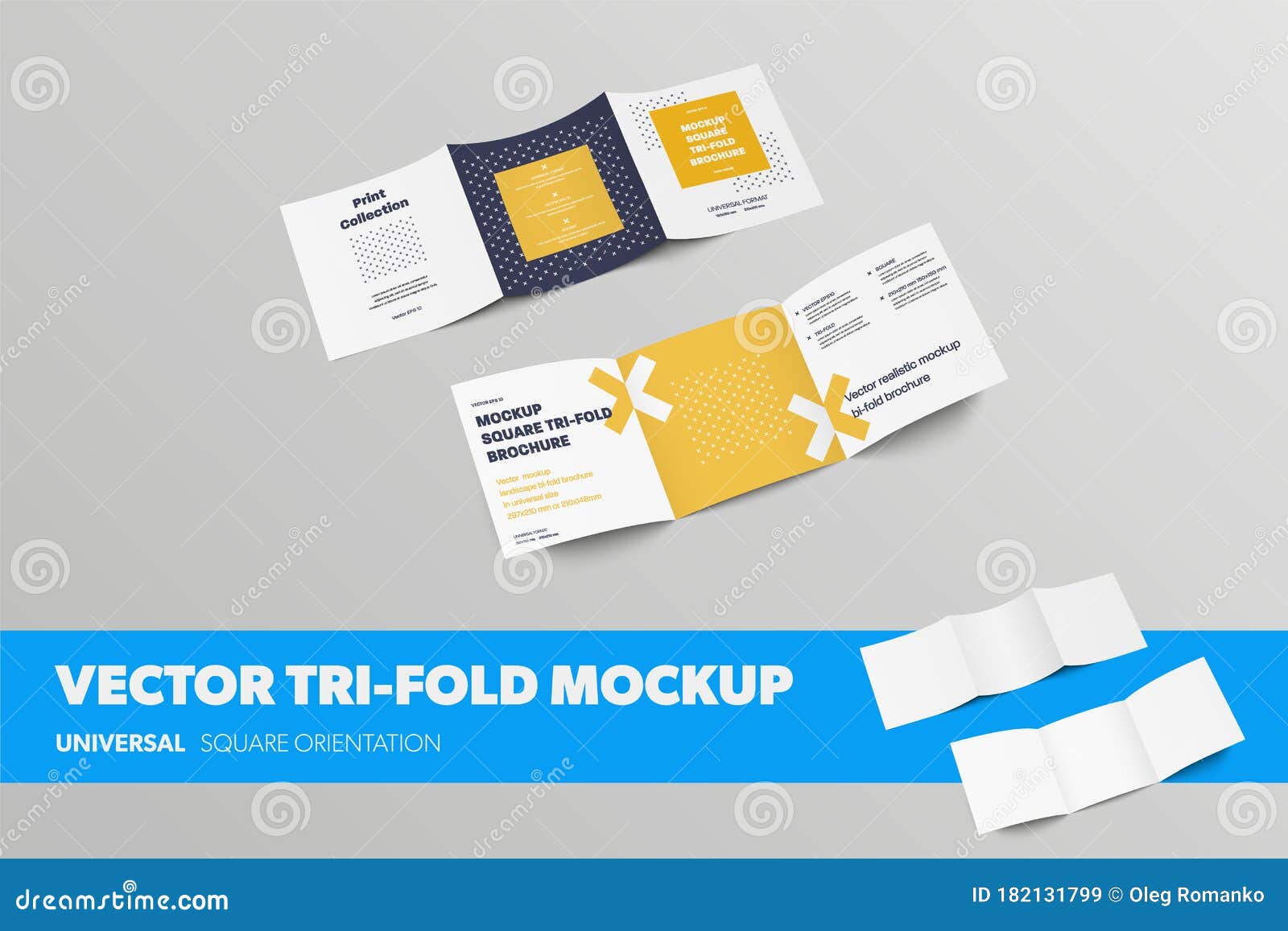 Set Of Square Vector Tri-folds, Open Standard Roll Fold Brochures ...