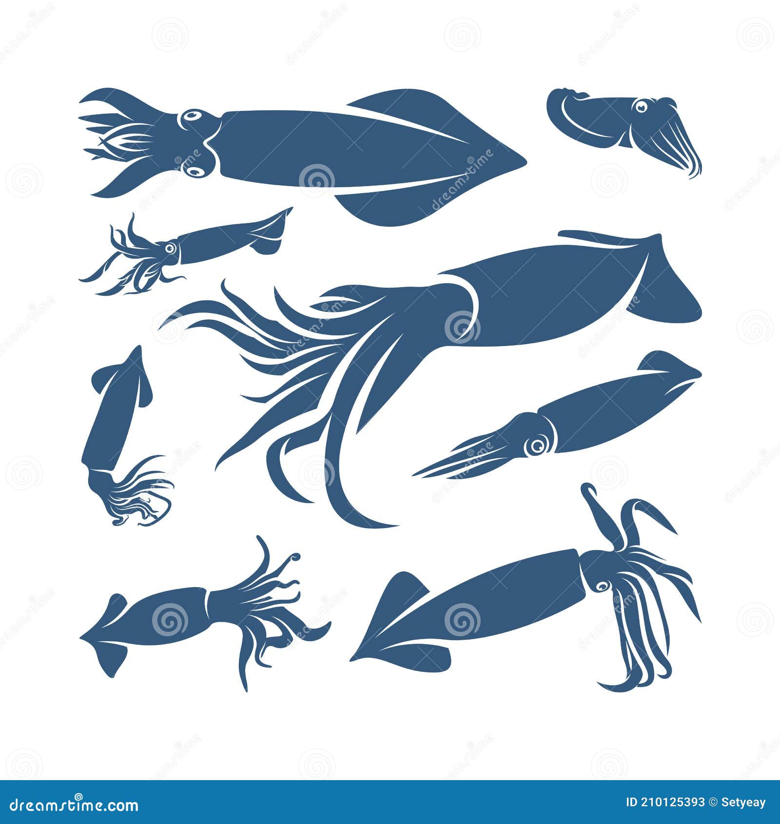 Set of Squid Design Vector Illustration, Creative Squid Logo Template ...