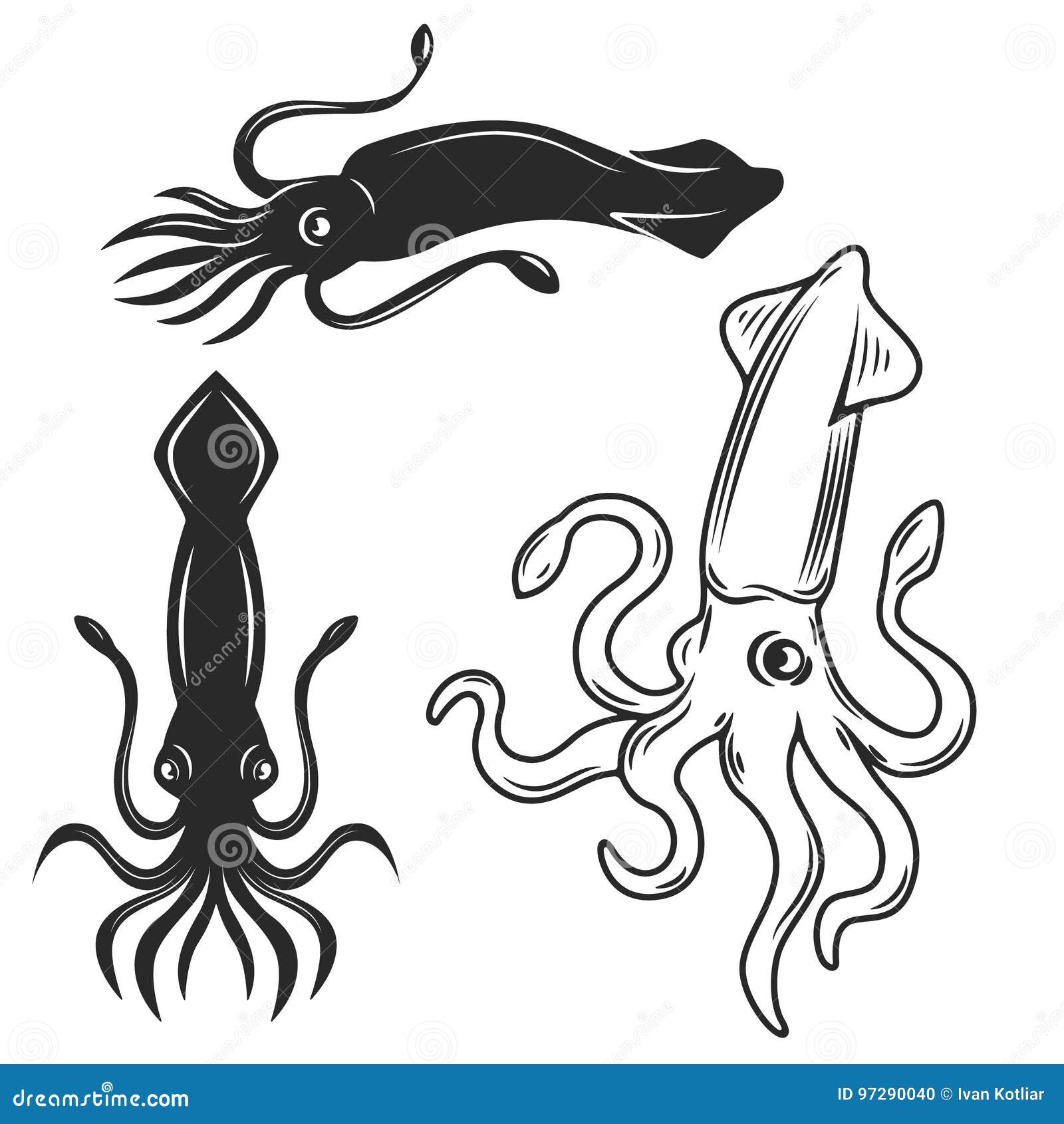 Squid Label Stock Illustrations – 2,114 Squid Label Stock Illustrations ...