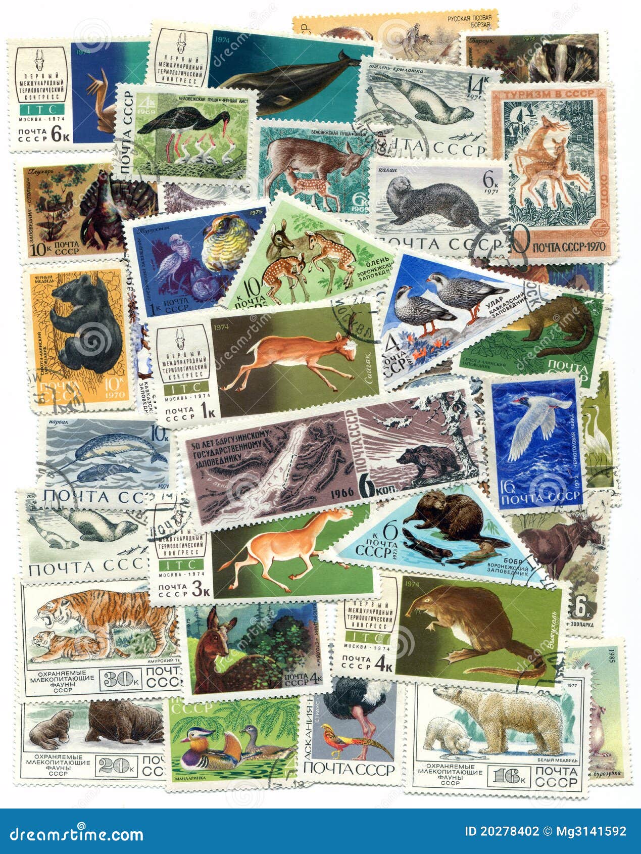 A set of stamps: Animals stock photo. Image of collection - 20278402