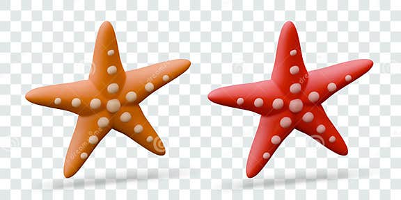 Set of Starfish of Different Colors. Isolated Realistic Models in ...