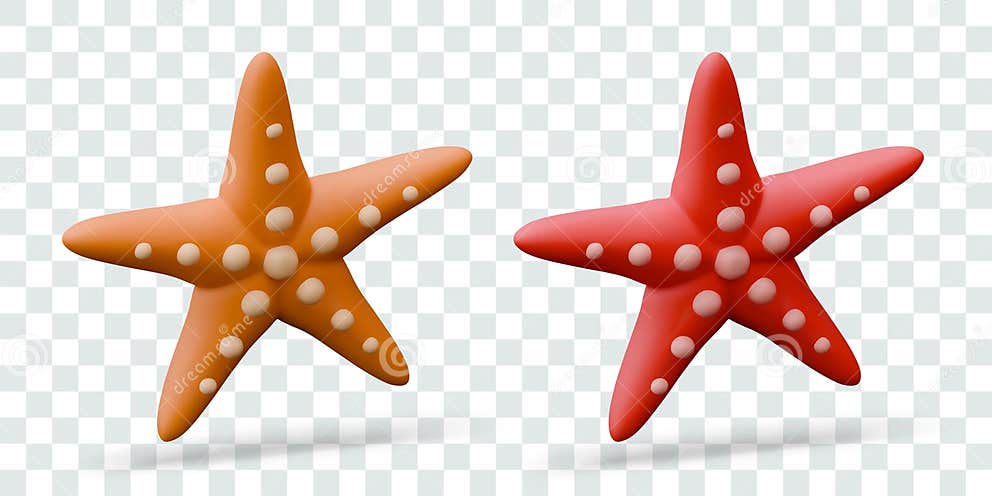 Set of Starfish of Different Colors. Isolated Realistic Models in ...