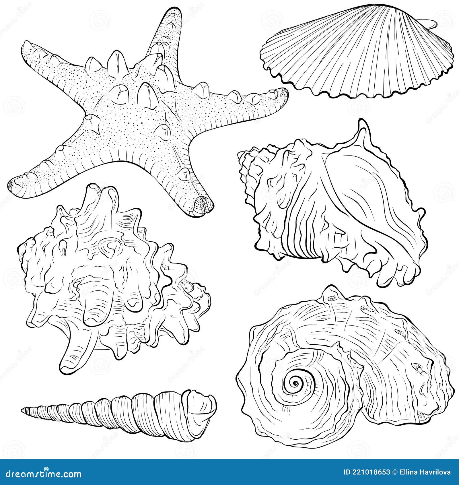 Set with Starfish and Shells Line Art Stock Vector - Illustration of ...