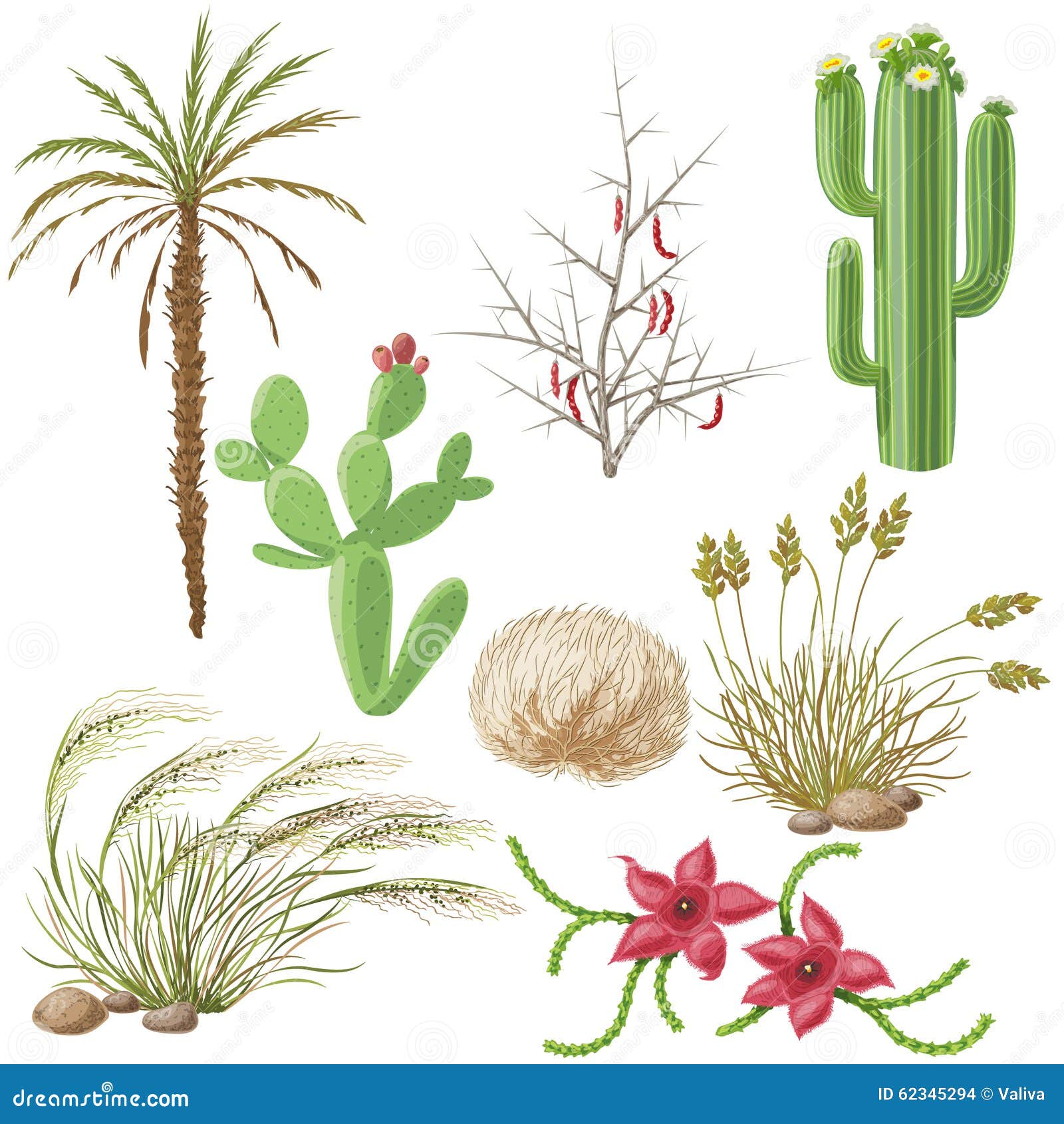 Steppe Cartoons, Illustrations & Vector Stock Images - 30589 Pictures ...