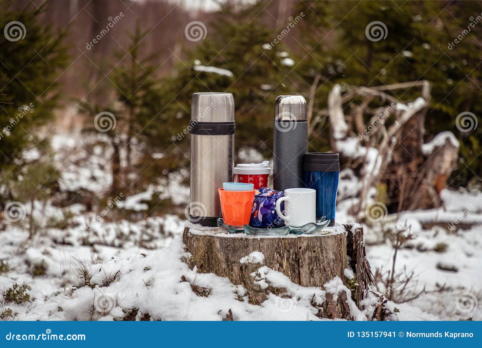 Thermos with Tea Put on Strain Stock Image - Image of woods, branches ...