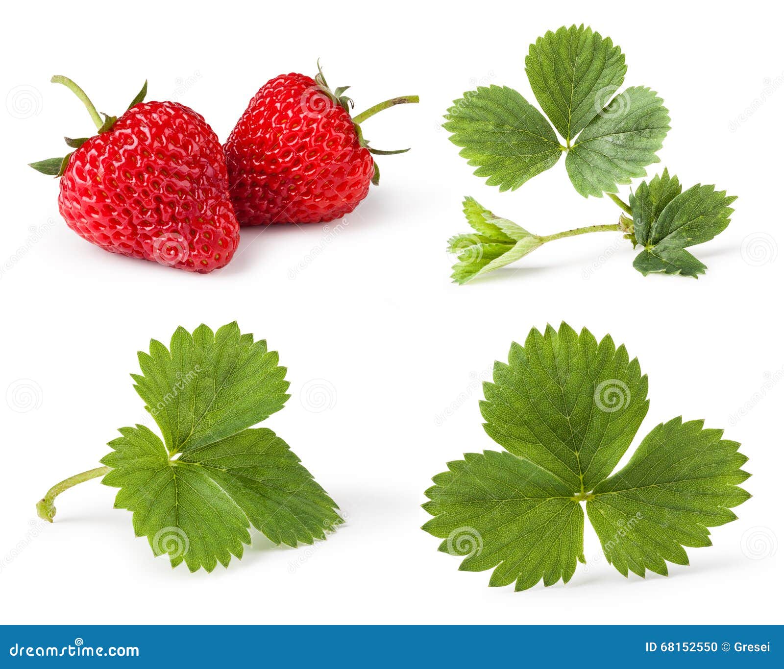 Set of Strawberries with Leave Stock Photo - Image of object, fresh ...