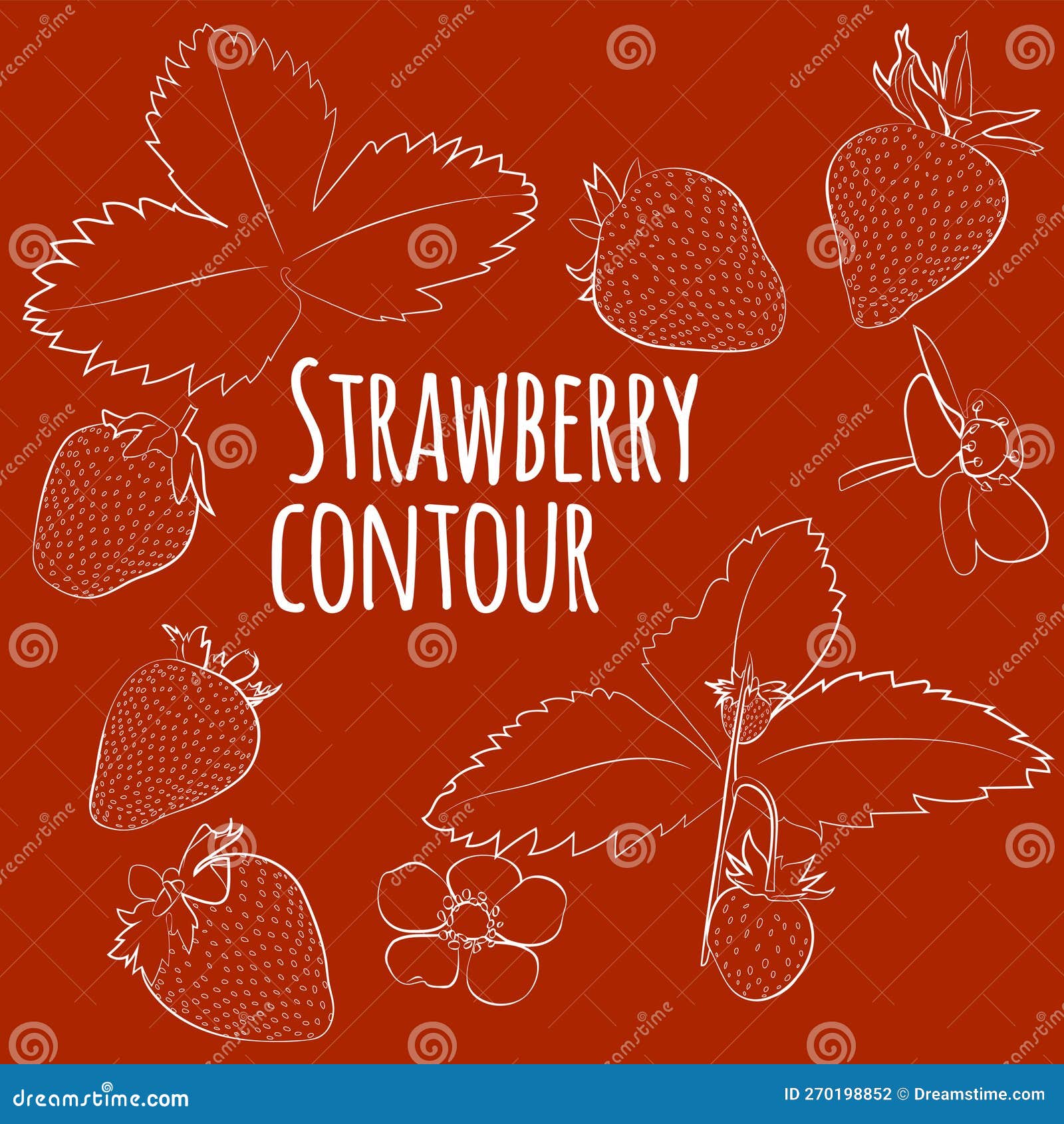 Set of Strawberry with Leaves and Flowers, Linear, Outline only, No ...