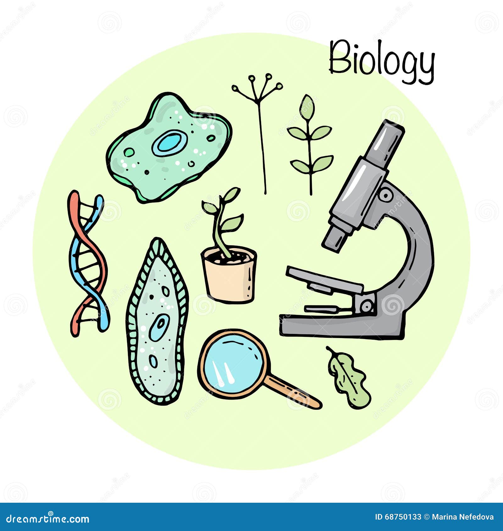 Set of Stydying Elements. Biology Topic Stock Illustration ...