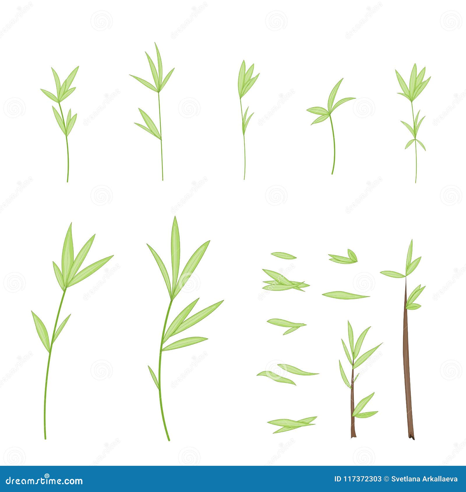 Set of Stylized Branches with Leaves. Isolated on White Background in ...