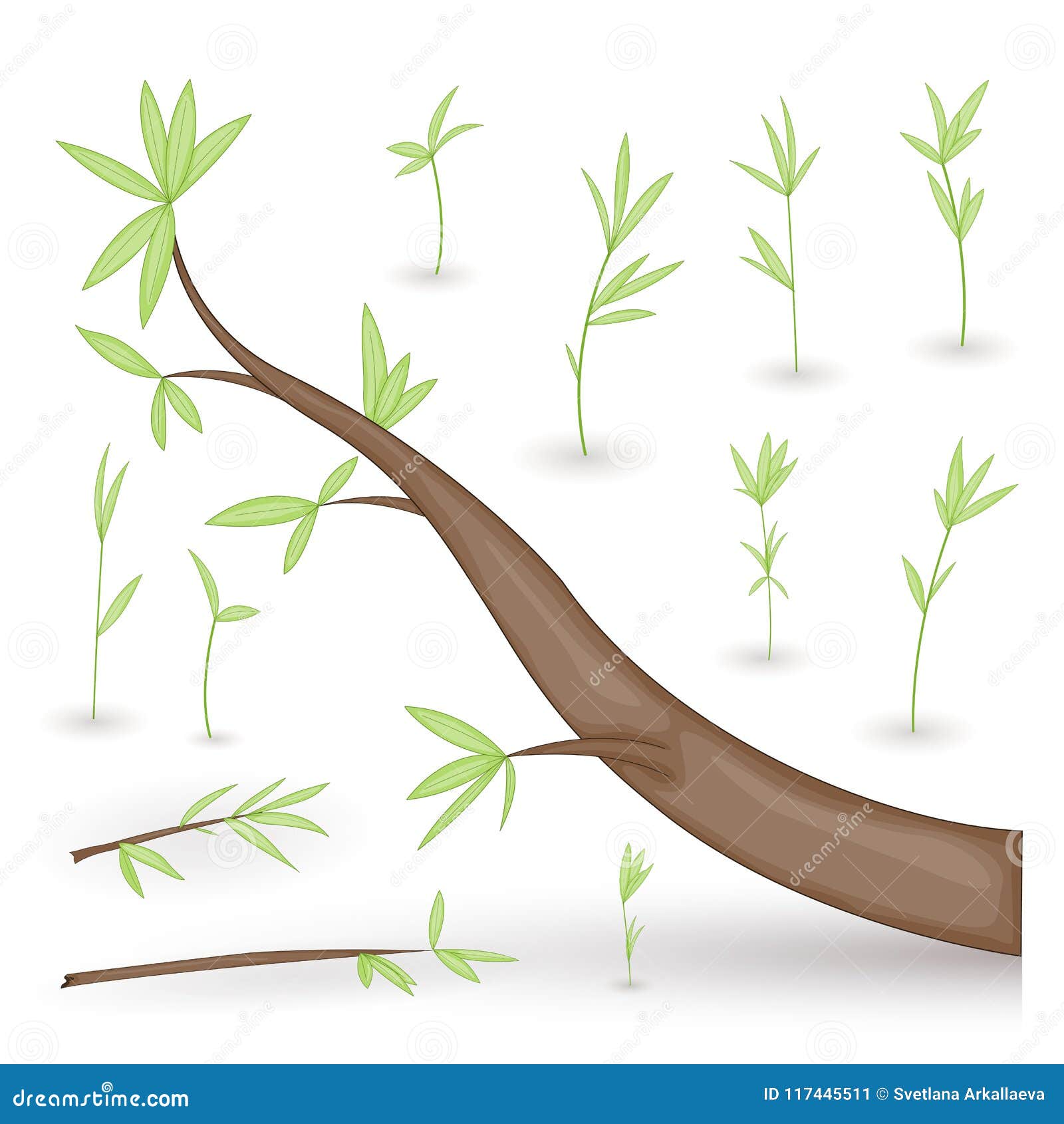 Set of Stylized Branches with Leaves. Isolated on White Background in ...