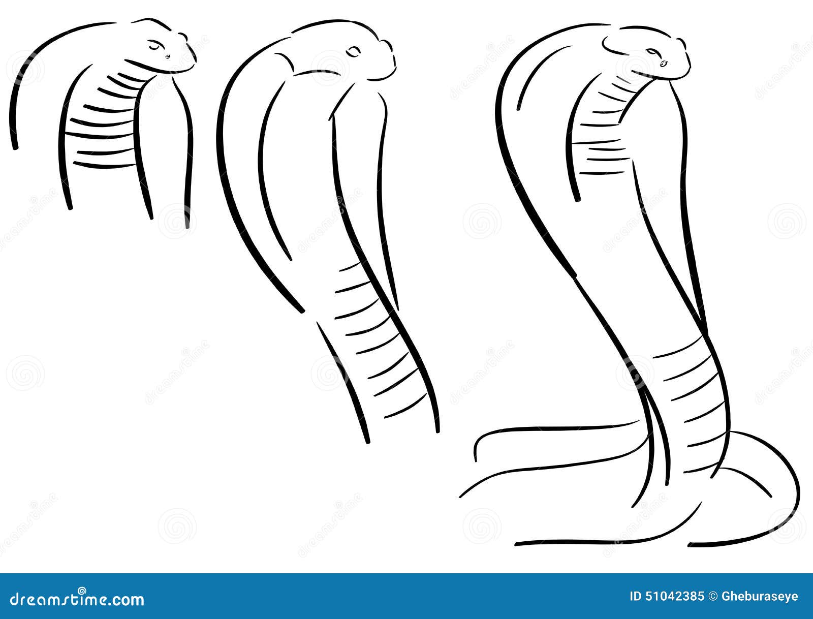 Stylized Cobra Snake. Isolated Vector | CartoonDealer.com #218490070