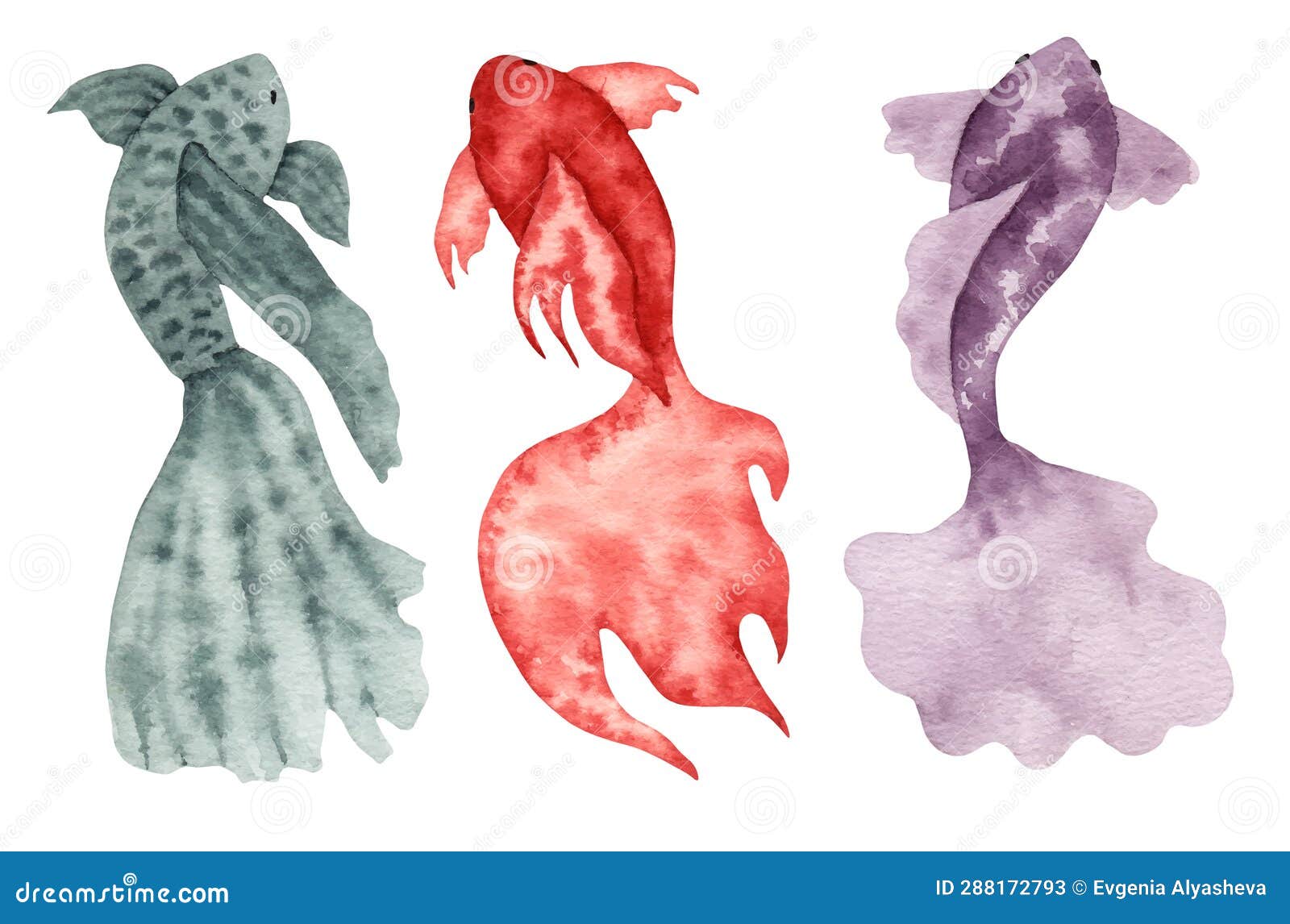 Set of Stylized Fish. Sea Creatures. Simple Design Stock Illustration ...