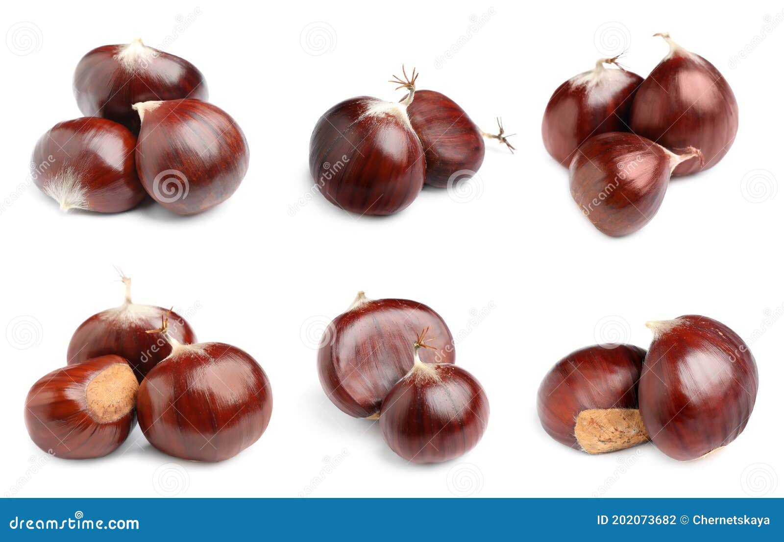Set of Sweet Edible Chestnuts on White Background Stock Photo - Image ...