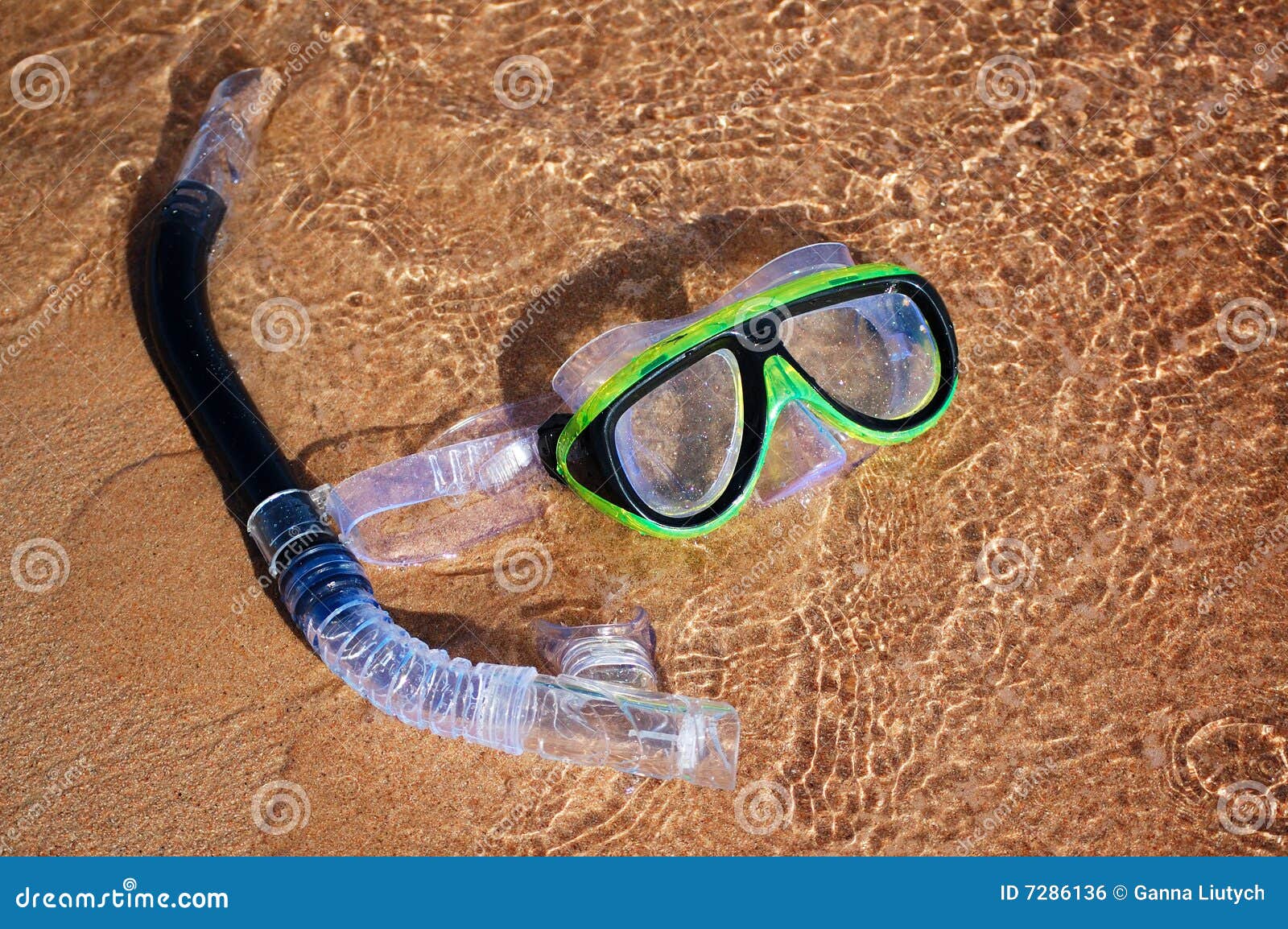 Set for swimming stock photo. Image of beach, diving, rest - 7286136