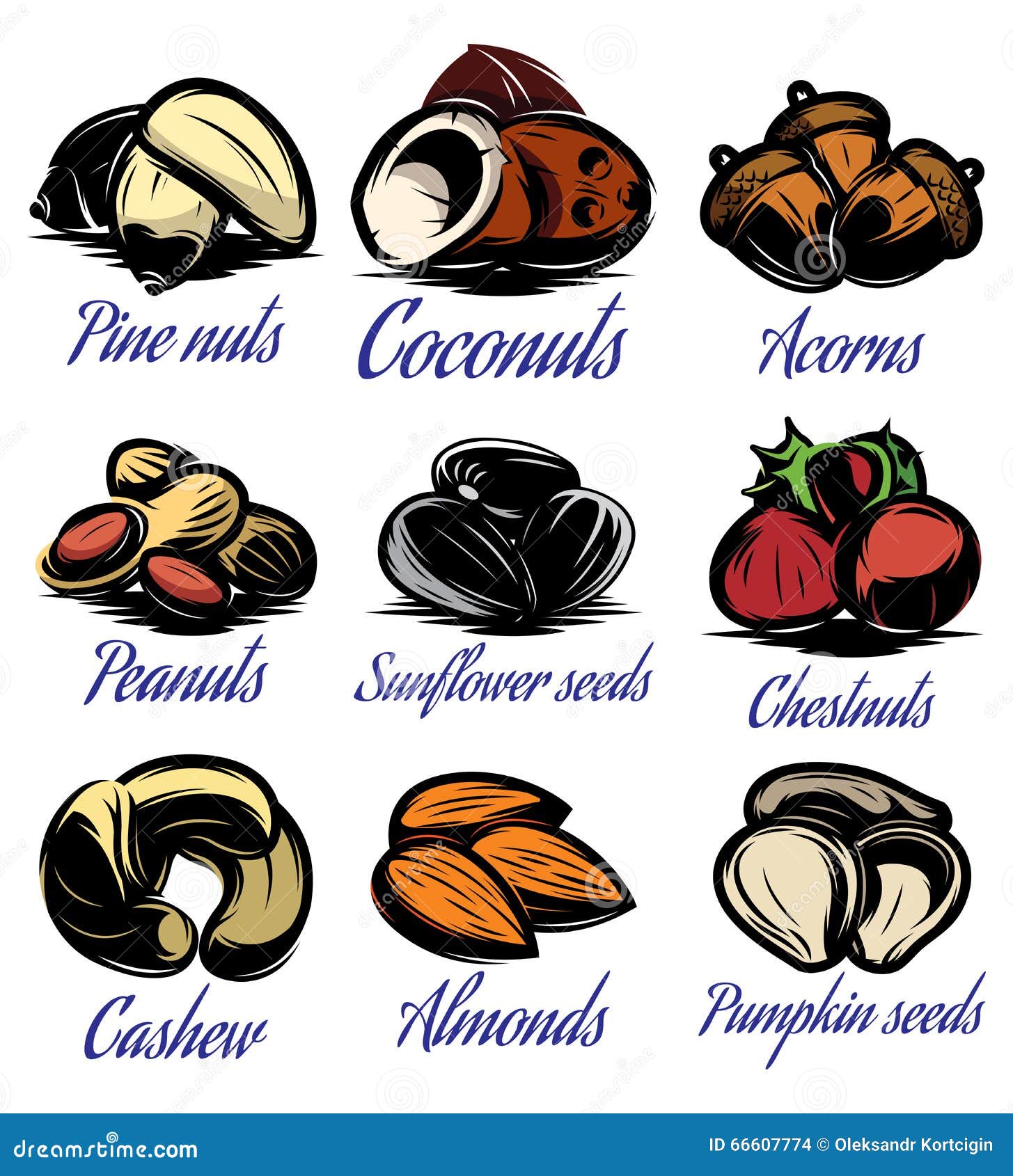Set Symbols Patterns of Different Colored Seeds, Nuts, Fruits Stock ...