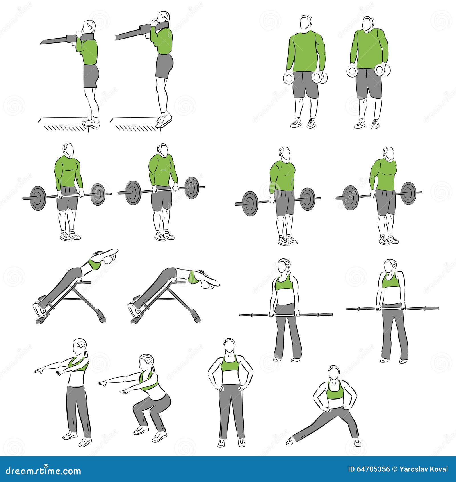Set Of Systematic Bodybuilding Exercises Stock Image | CartoonDealer ...