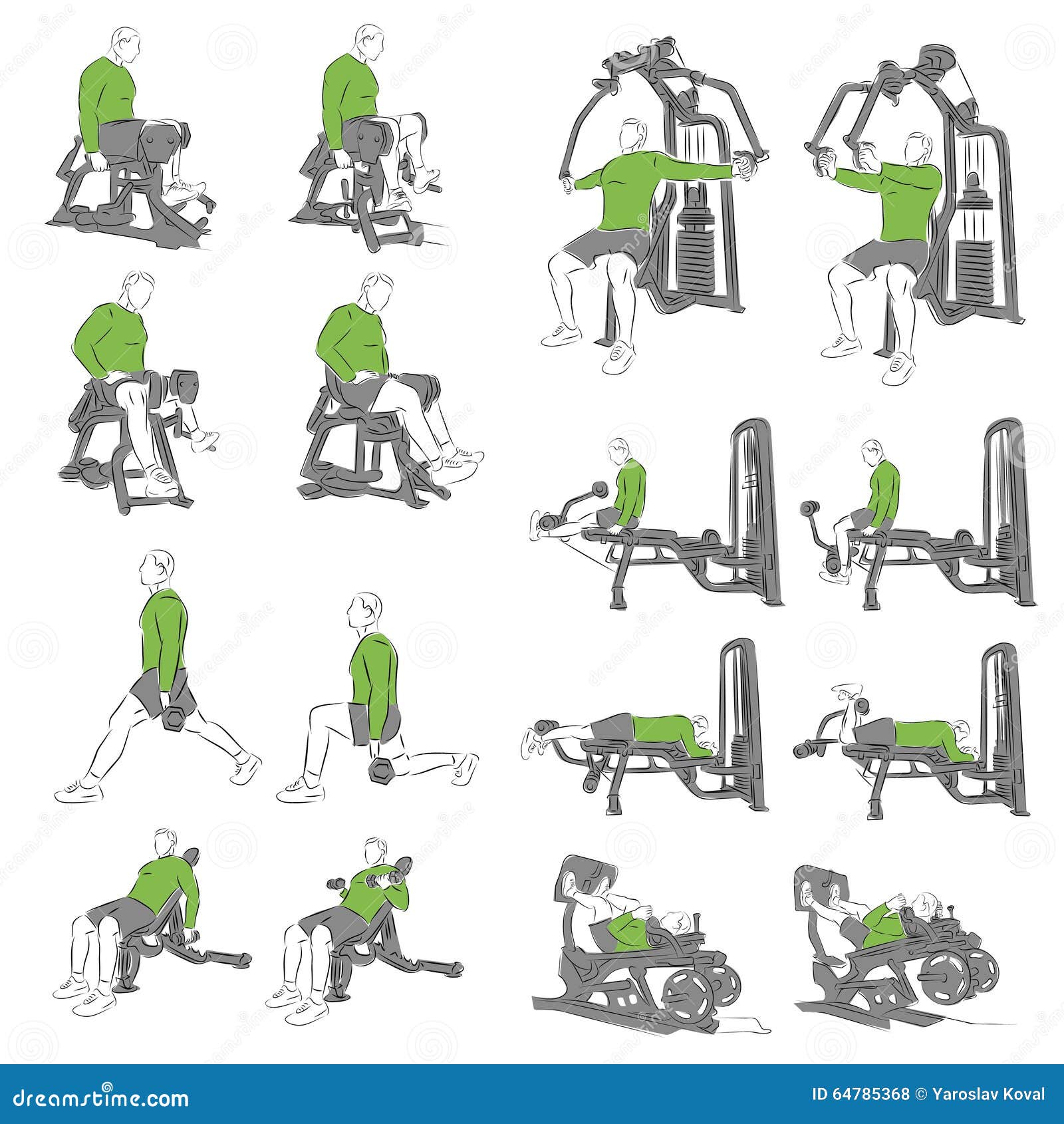 Set Of Systematic Bodybuilding Exercises Stock Image | CartoonDealer ...