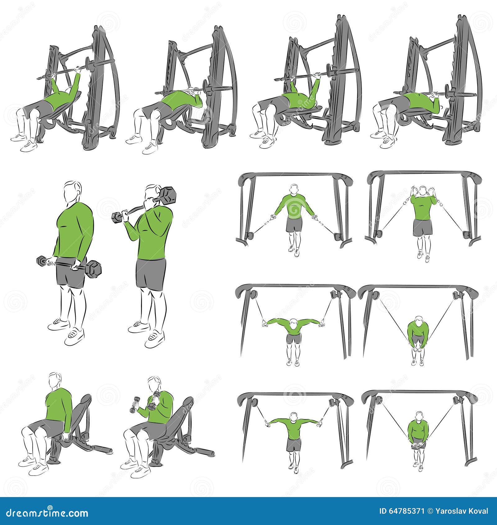 Set of Systematic Bodybuilding Exercises Stock Illustration ...