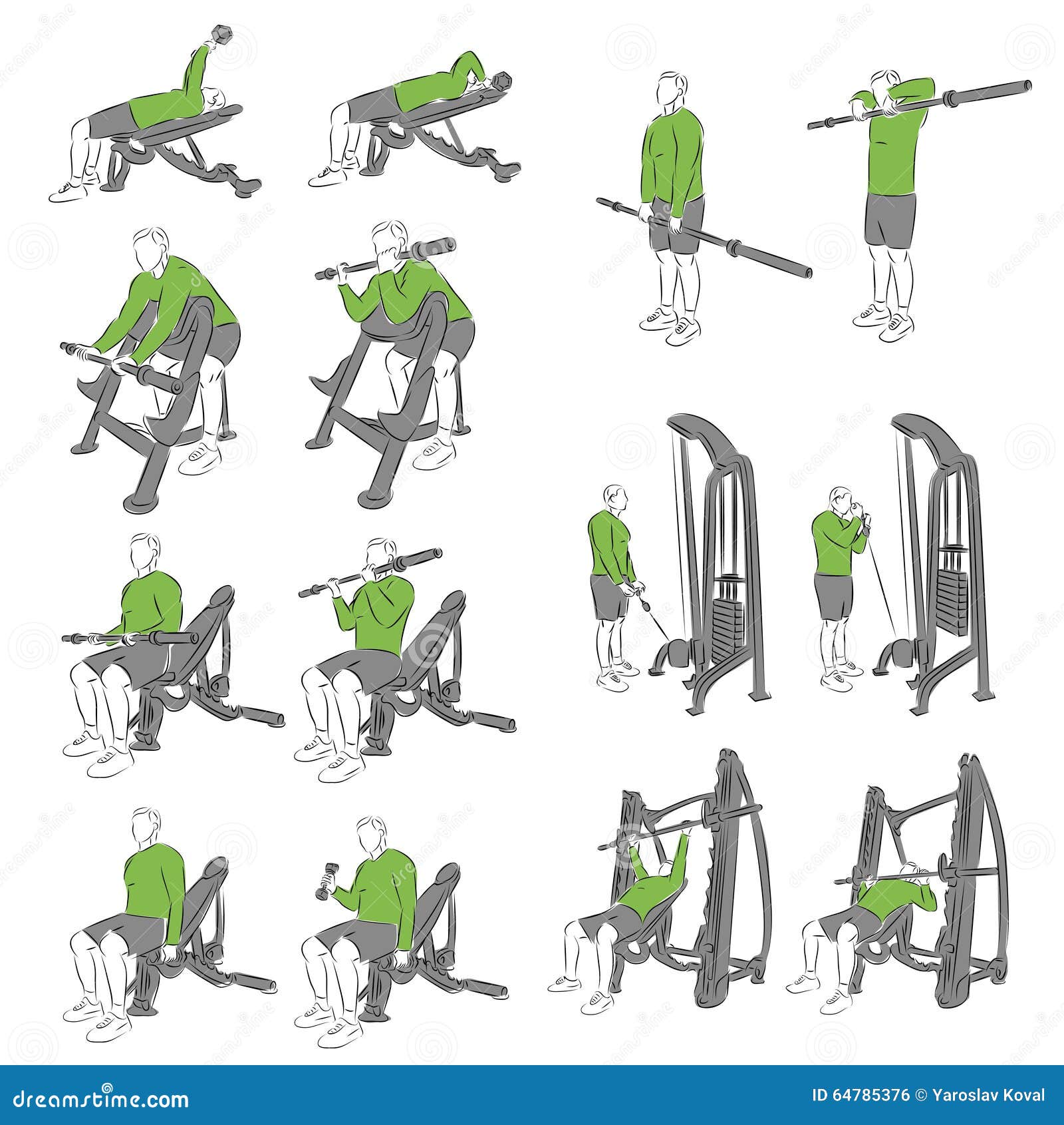 Set Of Systematic Bodybuilding Exercises Stock Image | CartoonDealer ...