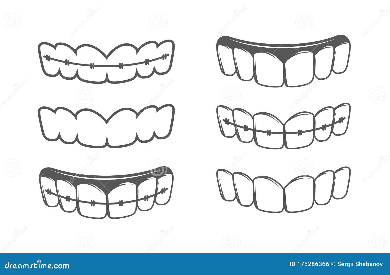 Set of Teeth Isolated on a White Background Stock Vector - Illustration ...