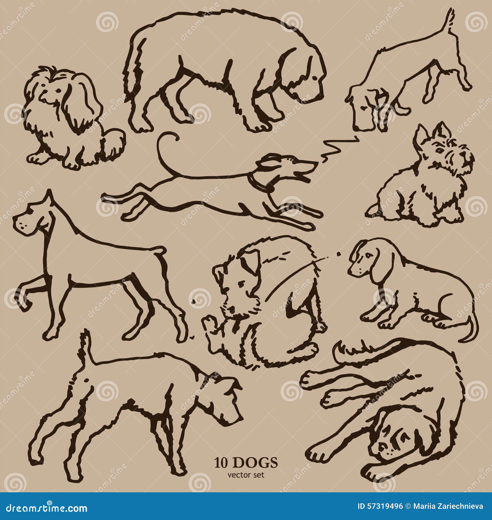 Set of ten hand drawn dogs stock vector. Illustration of drawing - 57319496