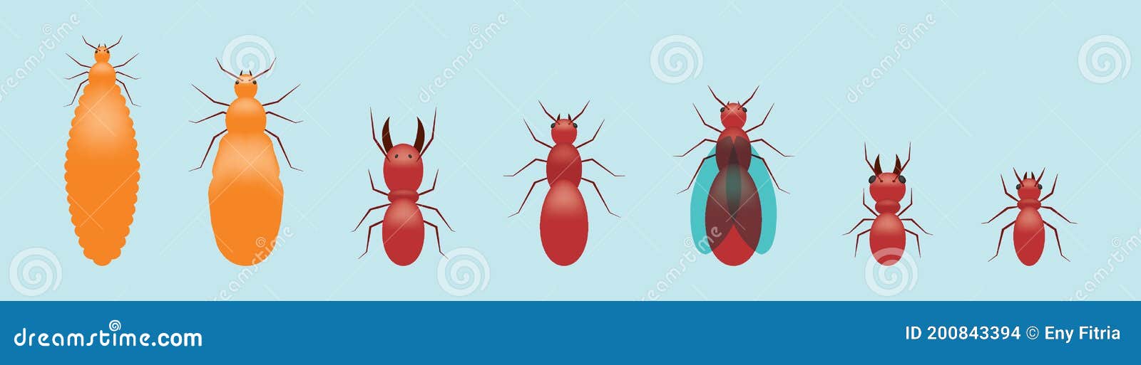 Set of Termite Cartoon Icon Design Template with Various Models. Vector ...